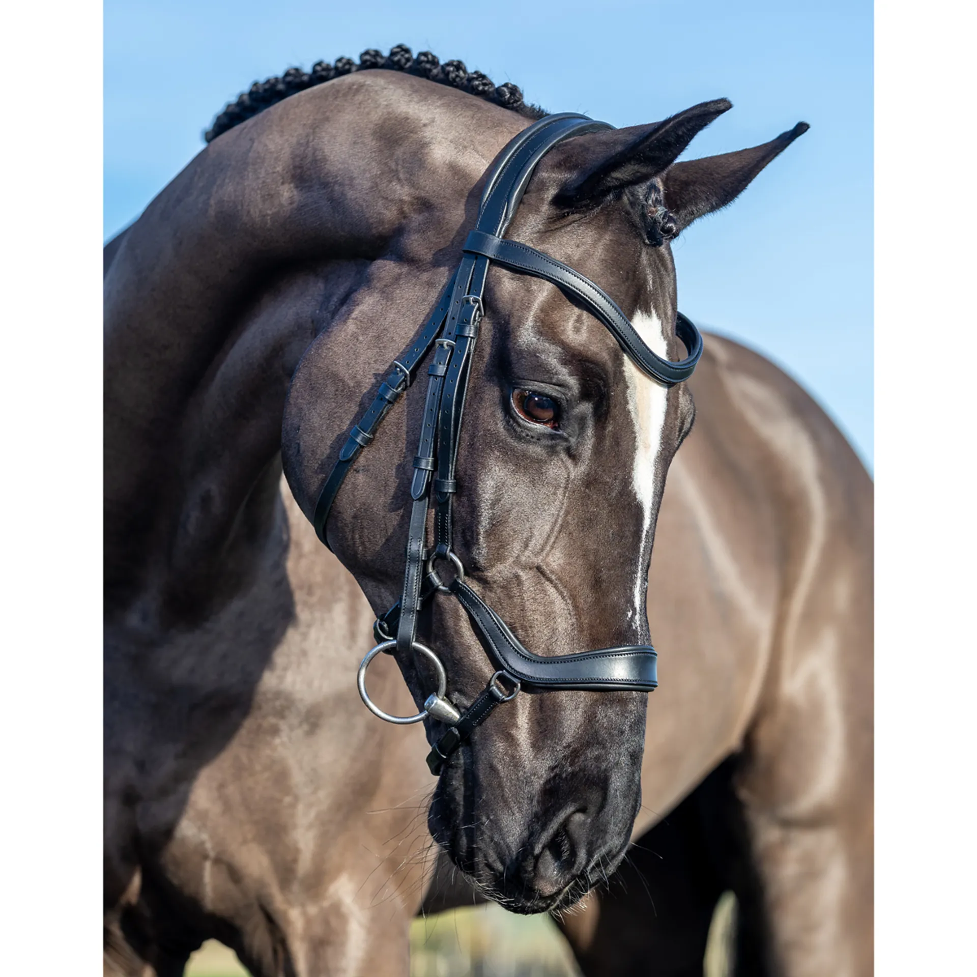 LeMieux Arika Drop Bridle - Black/Silver