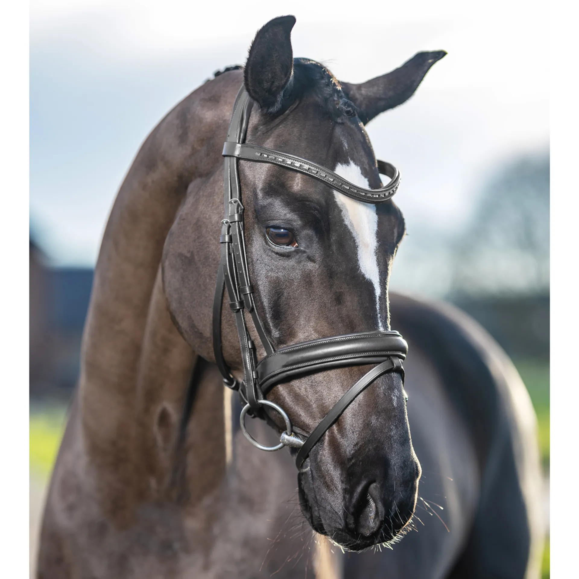 LeMieux Arika Dressage Bridle - Black/Silver