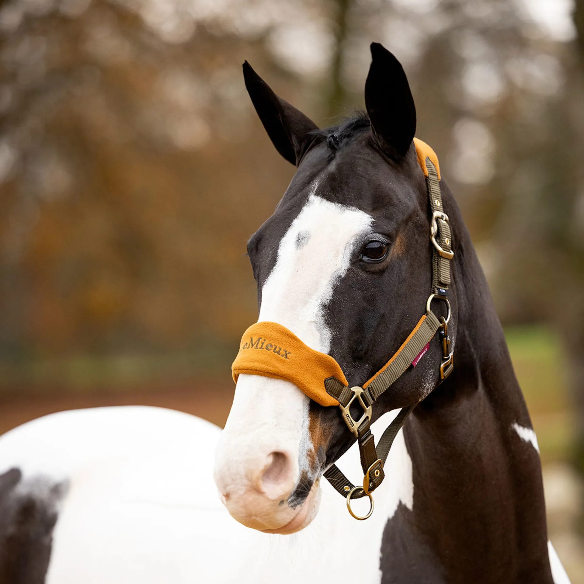 LeMieux Vogue Headcollar and Lead Rope Set - Alpine