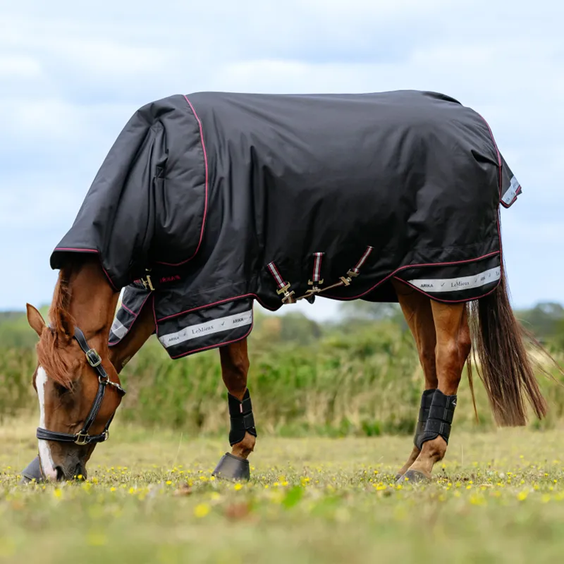 LeMieux Arika Storm-Tek Detachable Neck 200g Turnout Rug - Black