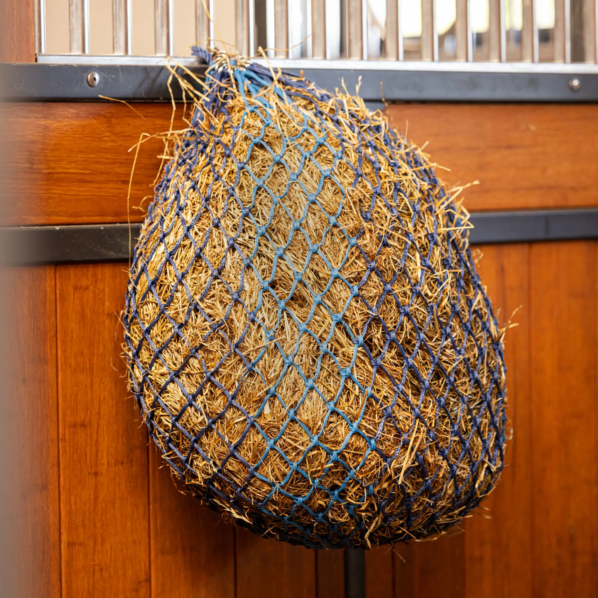 LeMieux Hippo Haynet - Atlantic