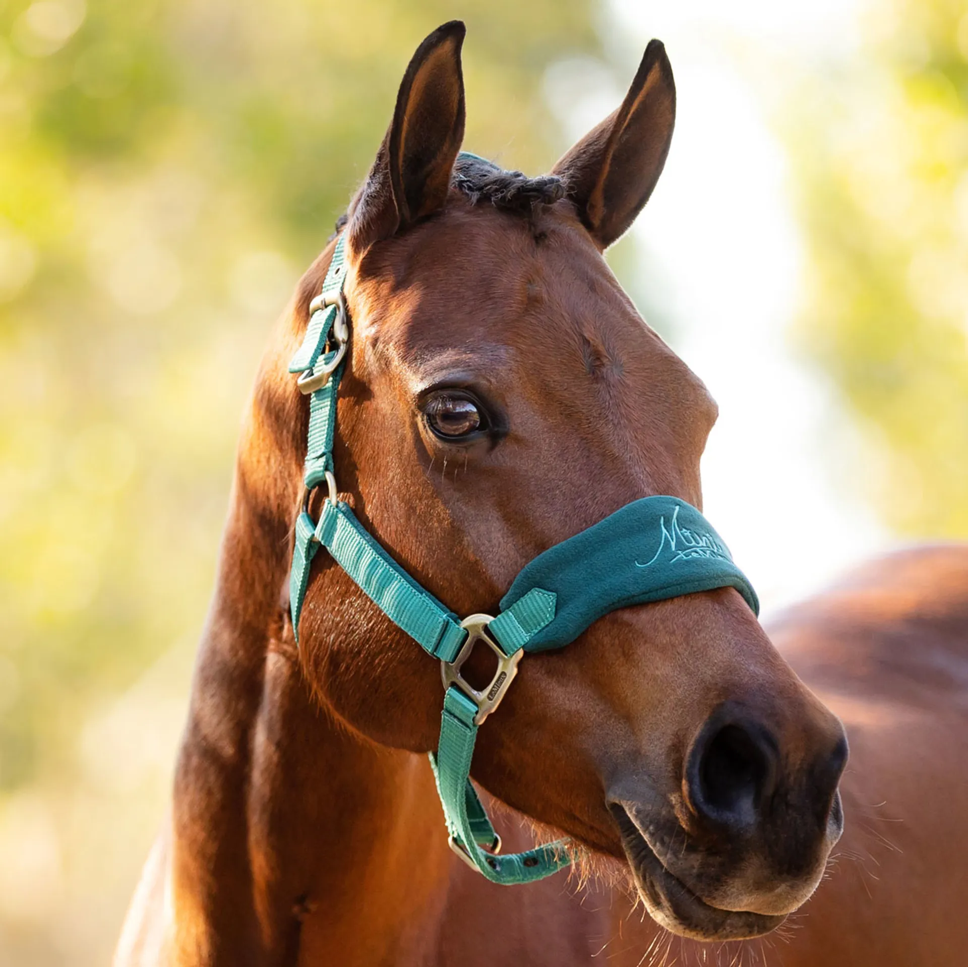 LeMieux Mini Vogue Headcollar and Lead Rope - Evergreen