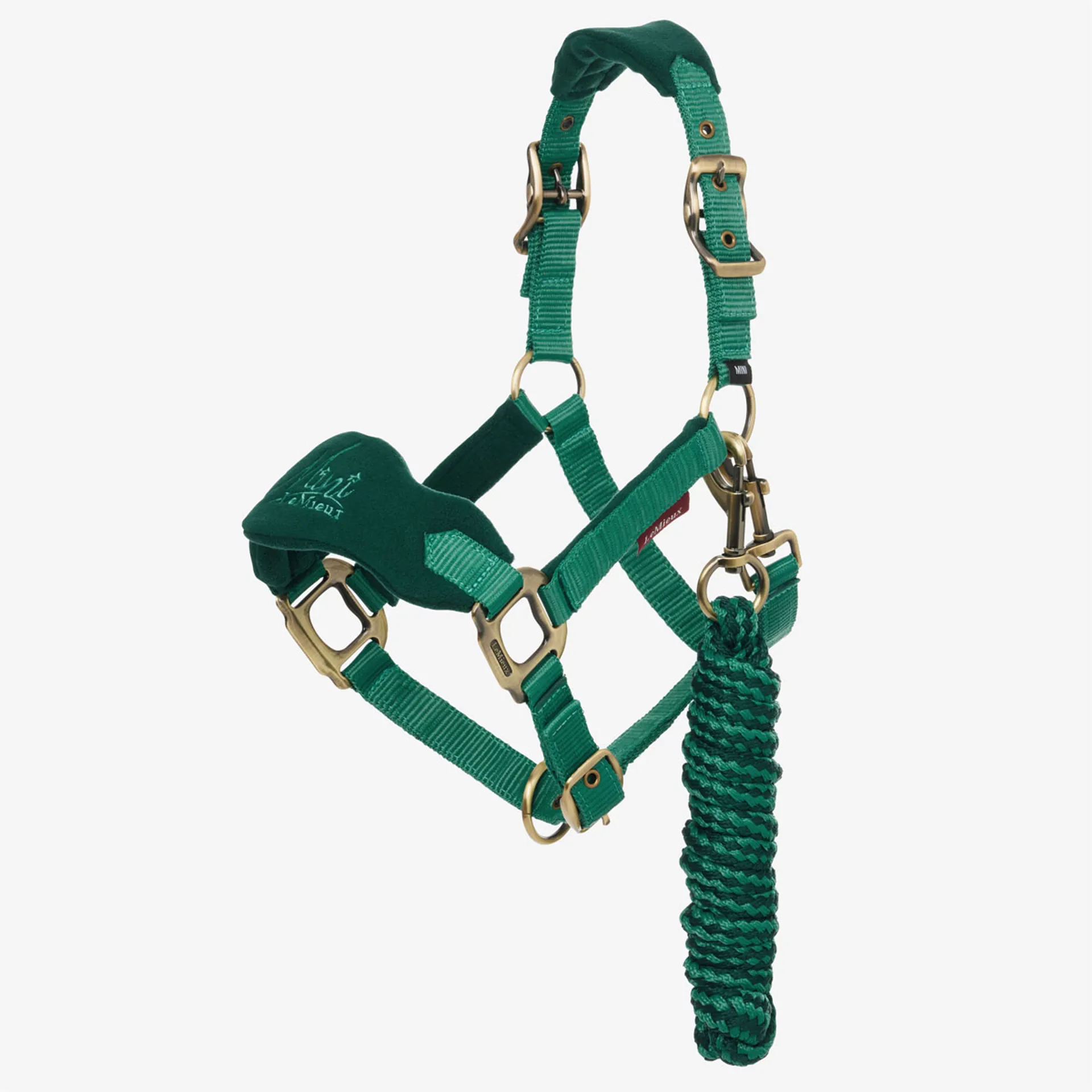 LeMieux Mini Vogue Headcollar and Lead Rope - Evergreen