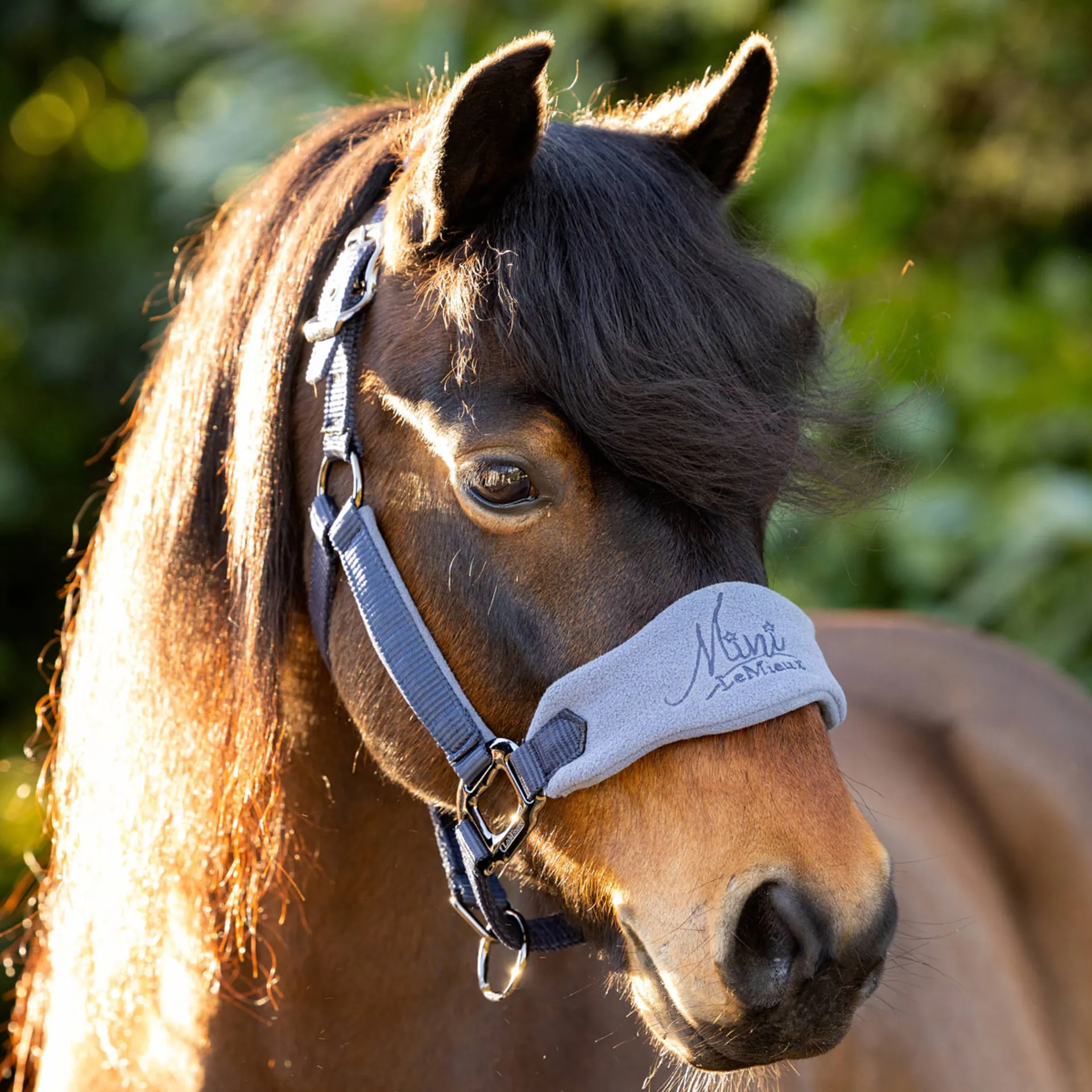 LeMieux Mini Vogue Headcollar and Lead Rope - Indigo