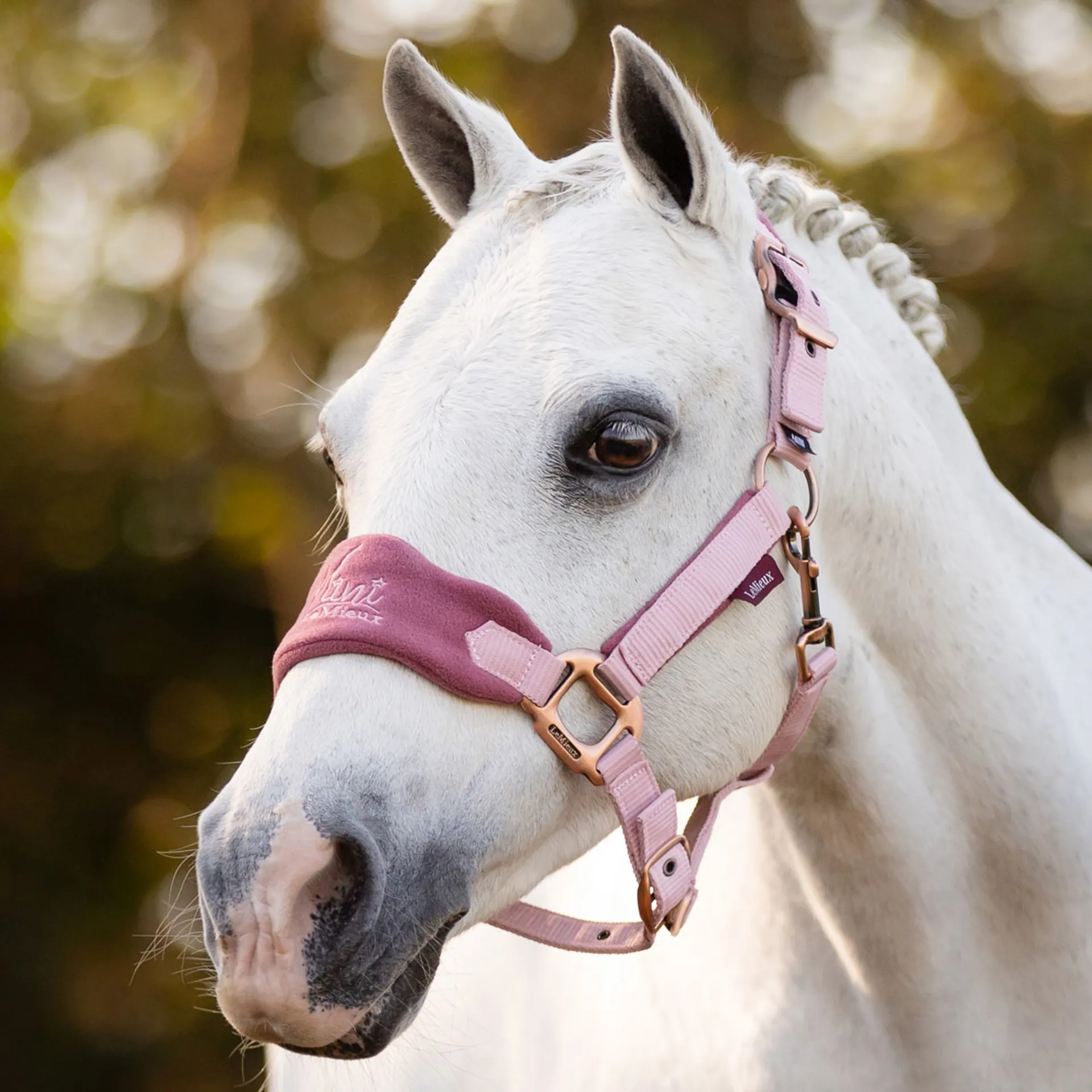 LeMieux Mini Vogue Headcollar and Lead Rope - Pink Quartz