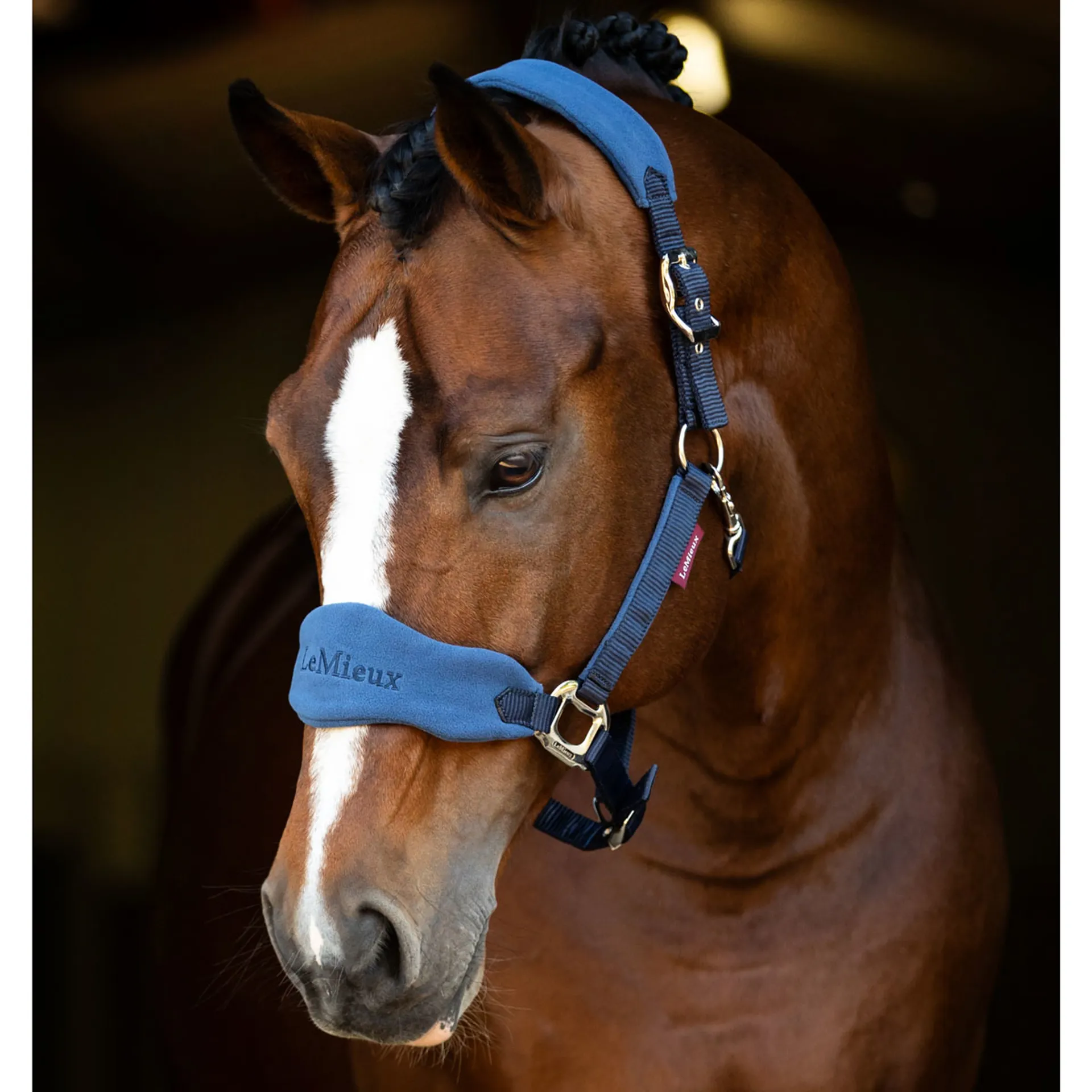 LeMieux Vogue Headcollar and Lead Rope Set - Atlantic