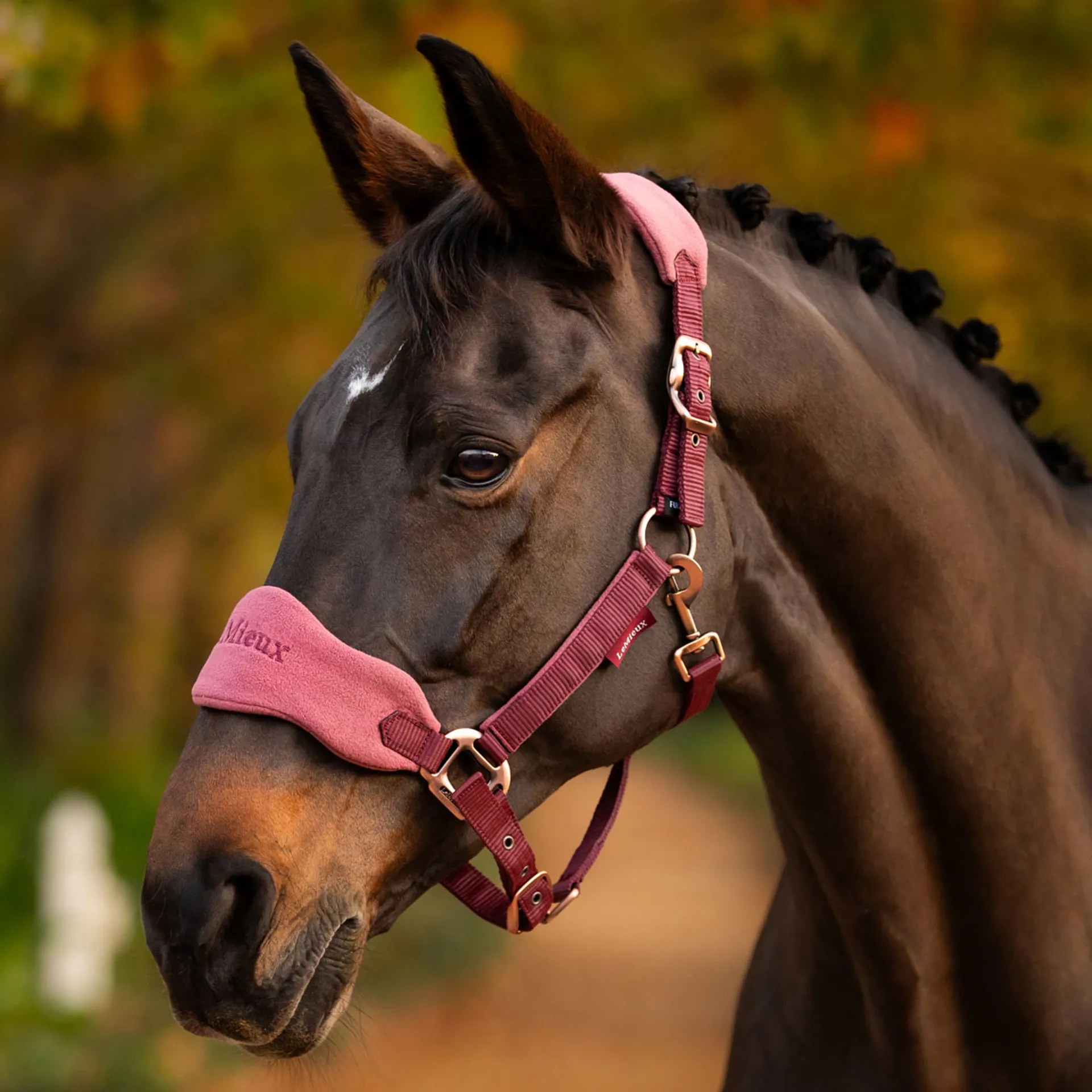 LeMieux Vogue Headcollar and Lead Rope Set - Orchid