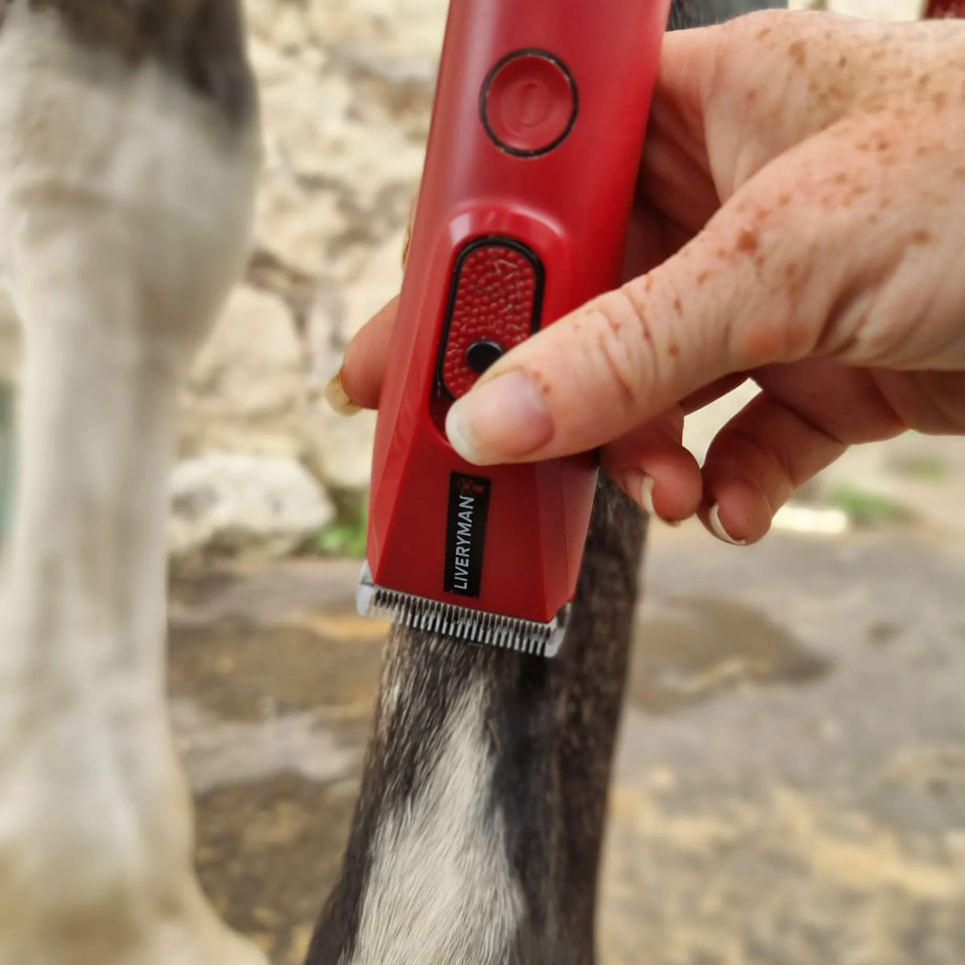 Liveryman Nova Trimmers
