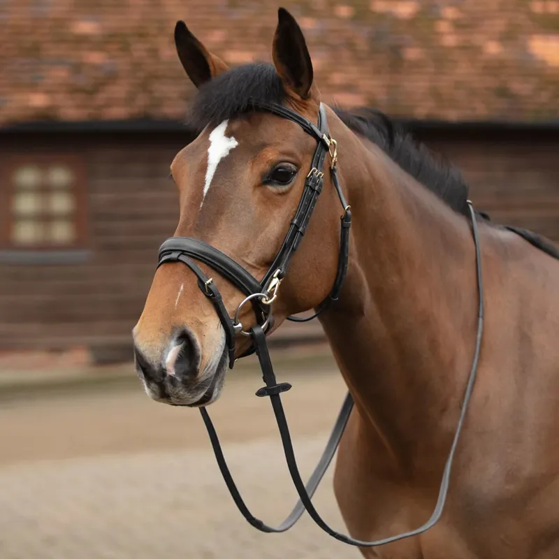 Mark Todd Training Bridle - Black
