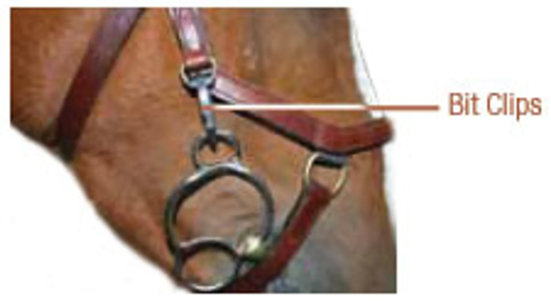 bridle clips