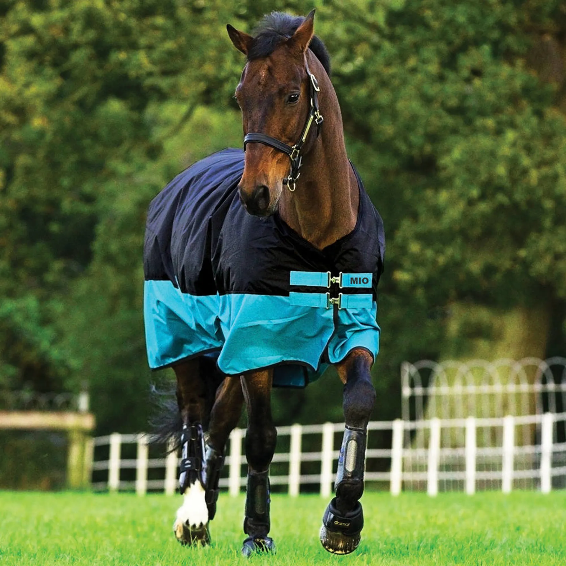 Mio Lightweight 0g Standard Neck Turnout Rug - Black/Turquoise