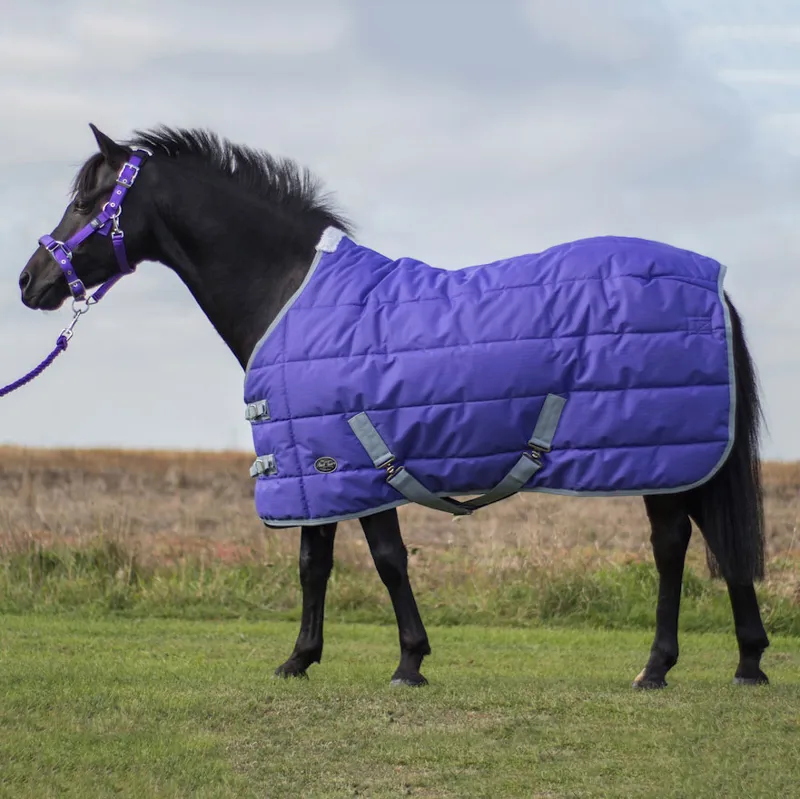 Mark Todd Pony 250g Standard Neck Stable Rug - Purple/Grey