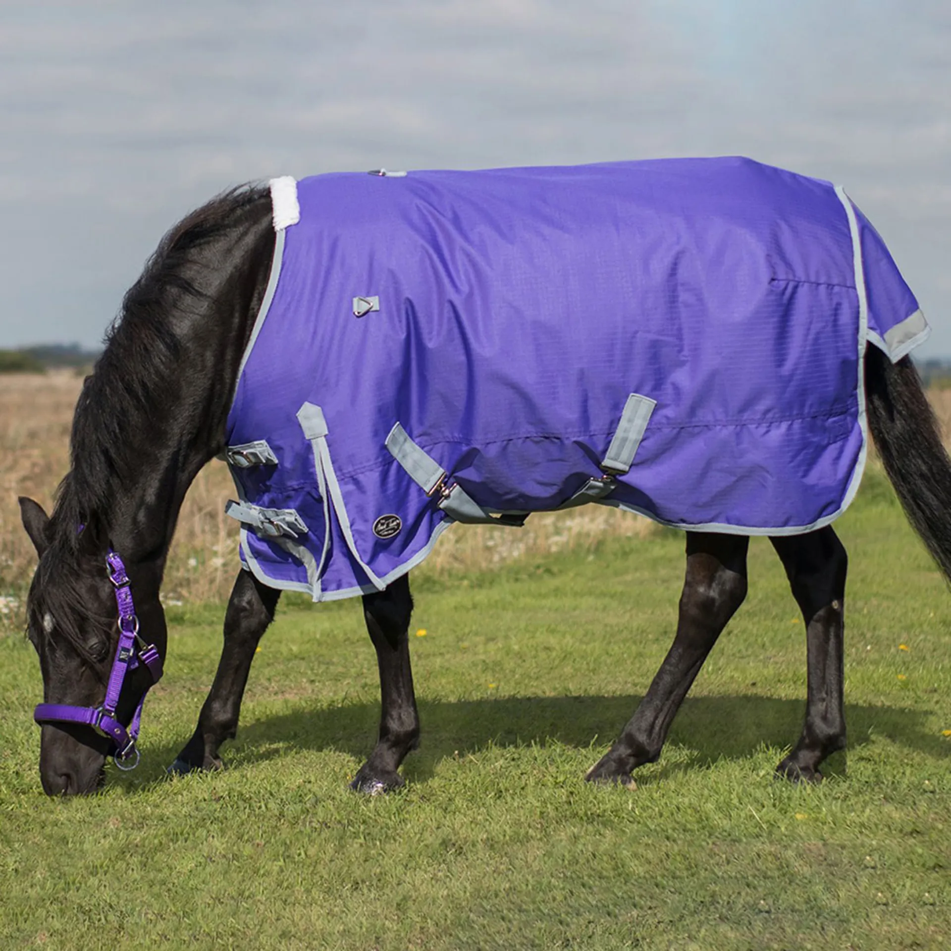 Mark Todd Pony 0g Standard Neck Turnout Rug - Purple/Grey
