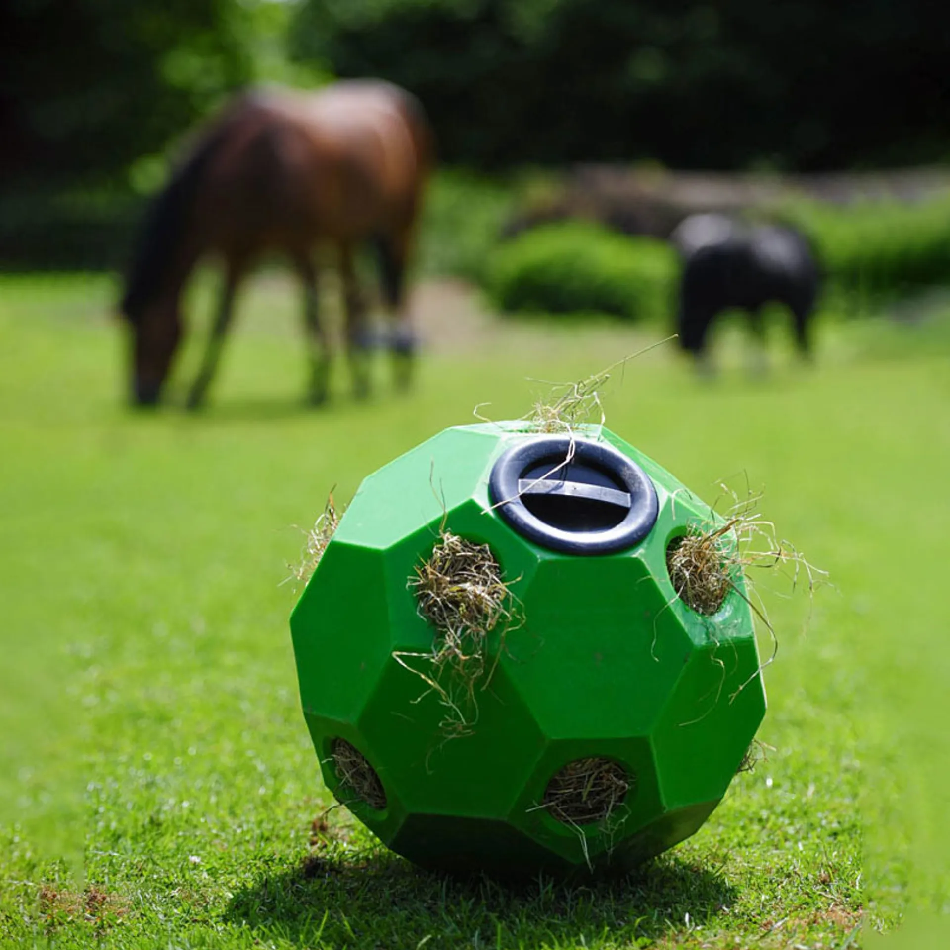 Parallax Hay Play Ball Feeder - Green