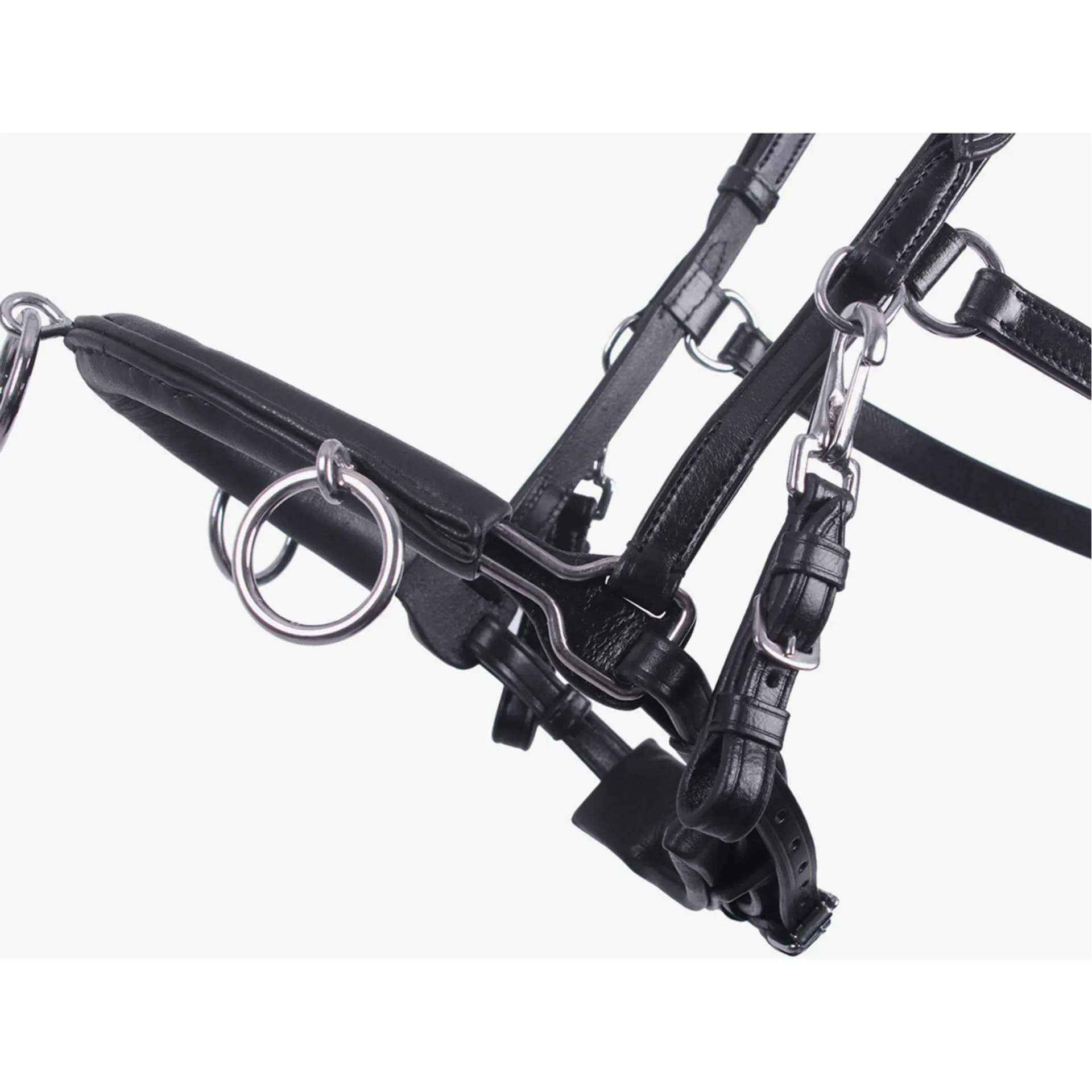 QHP Leather Anatomical Lunge Cavesson - Black