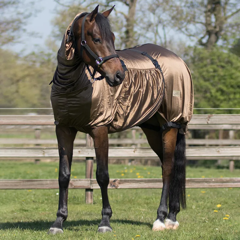 Fly & Sweet Itch Rugs | Horse Rugs - Redpost Equestrian