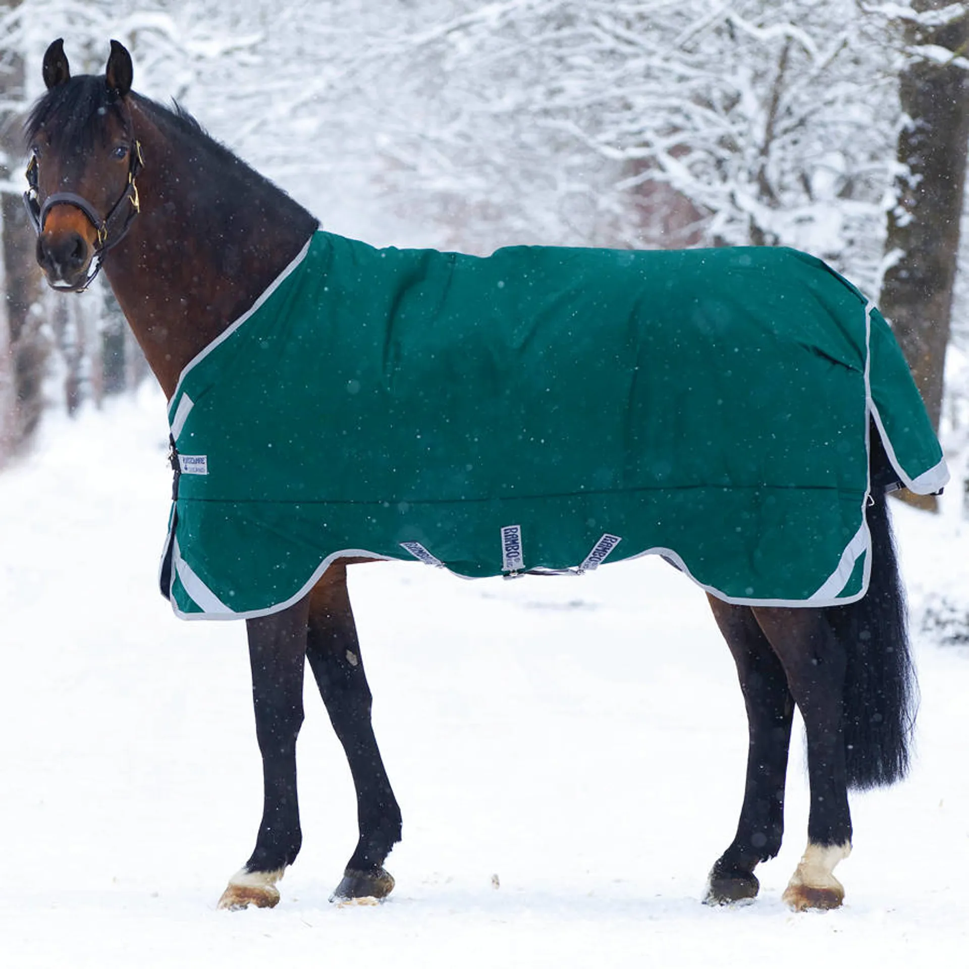 Rambo Original Lite 0g Turnout Rug with Leg Arches Green/Silver