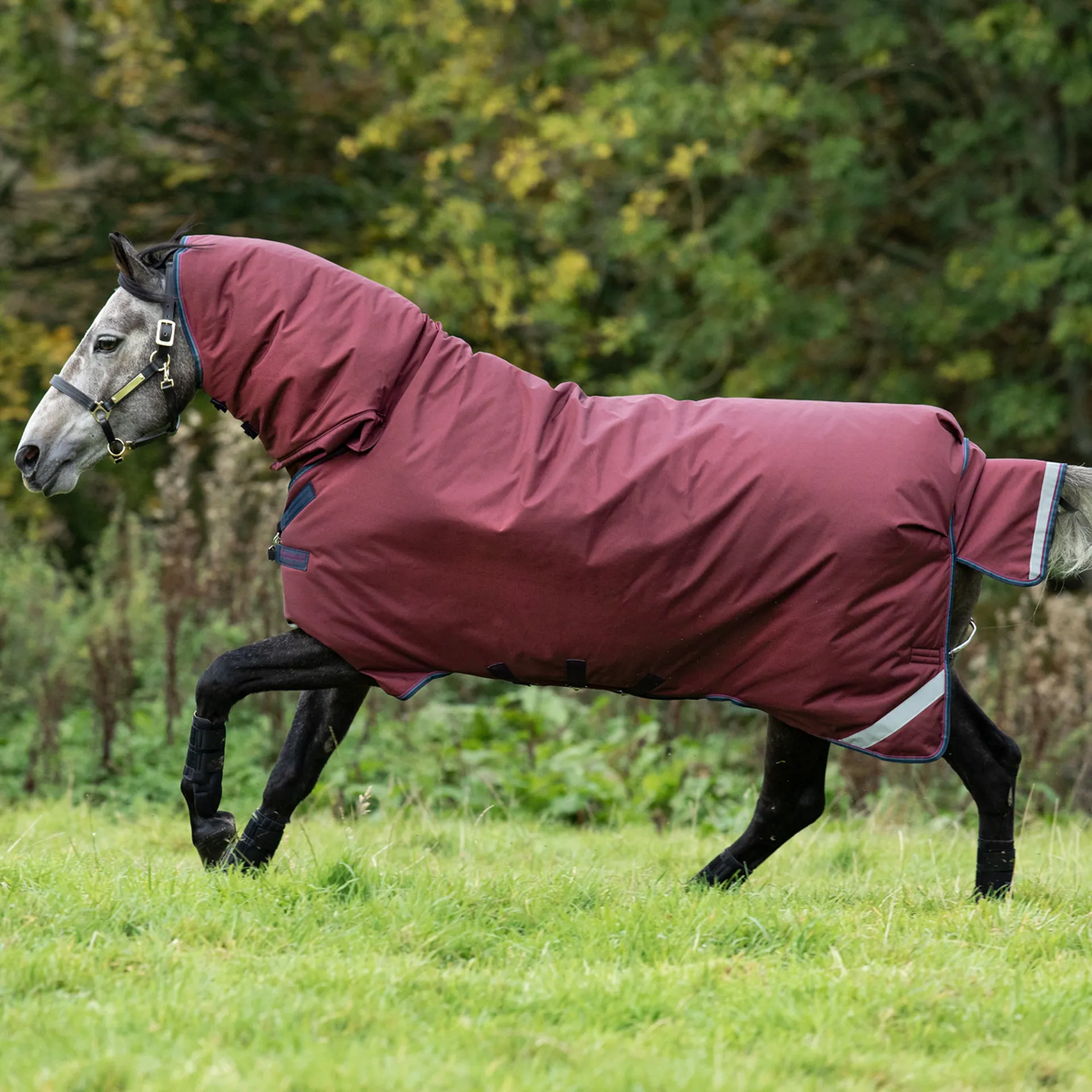 Rambo All-In-One 200g 1000D Turnout Rug - Burgundy/Teal/Navy