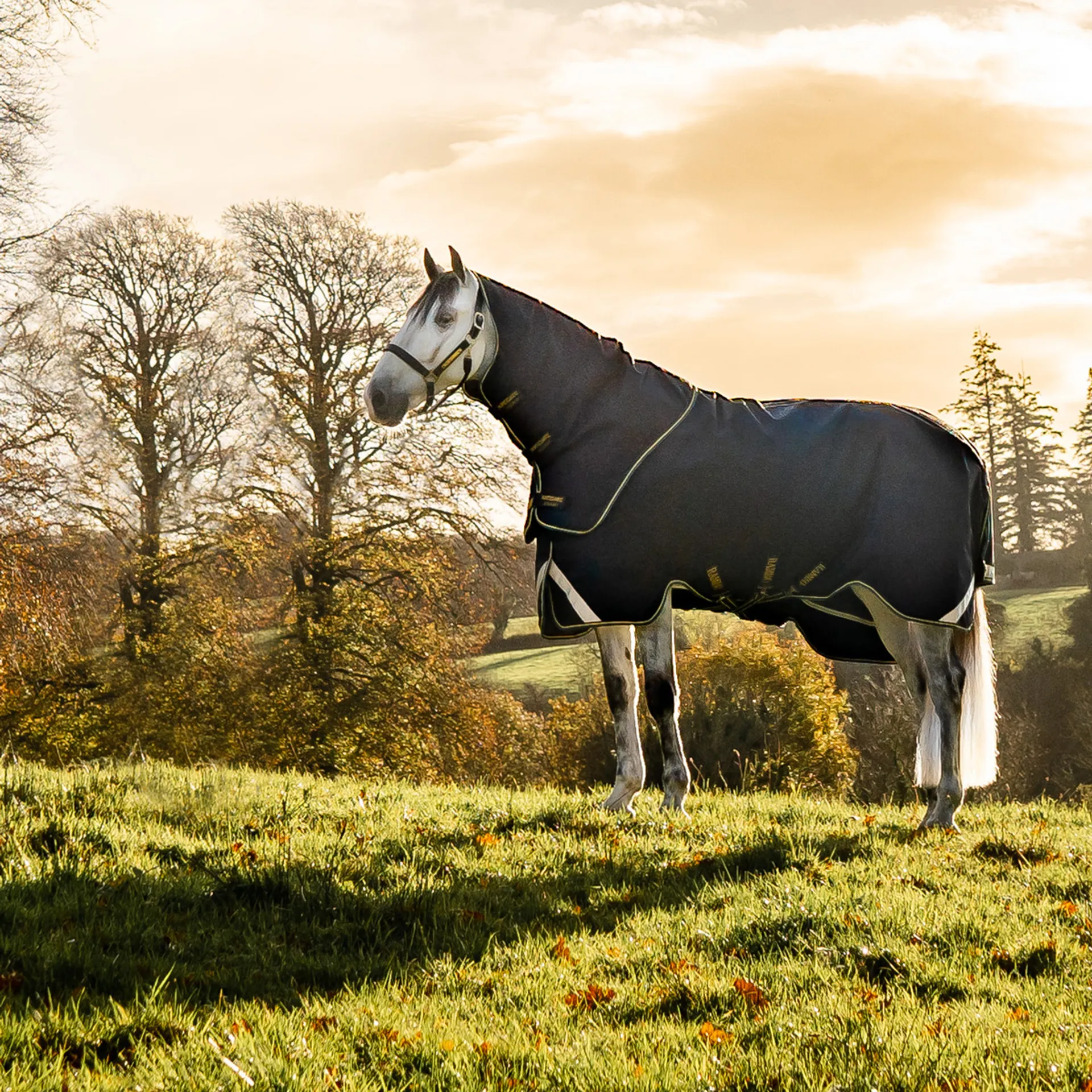 Rambo Duo Force 2.0 100g Turnout Rug with 2 Eco Liners - Navy