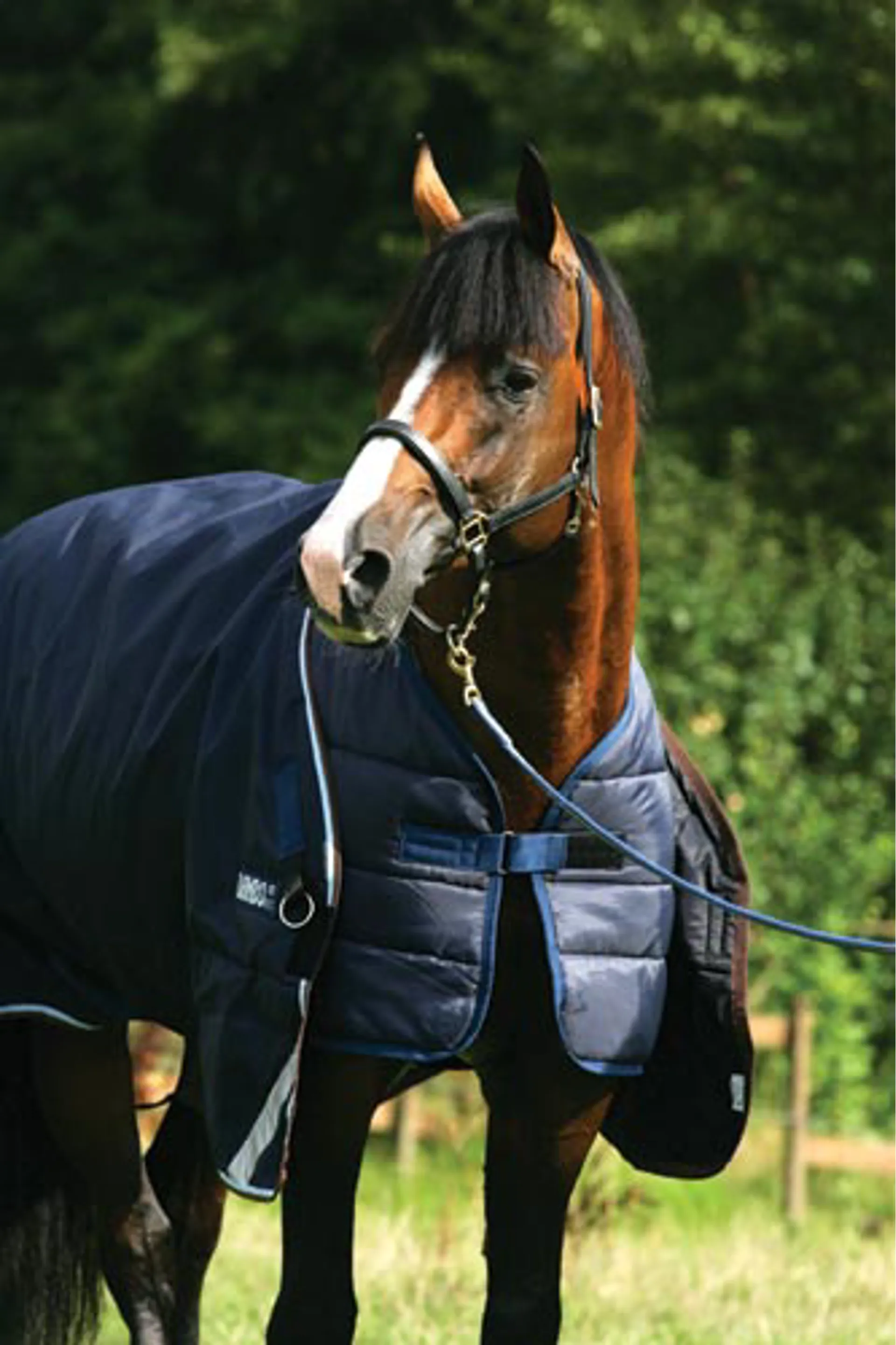 Rambo Duo Plus 100g Turnout Rug With 300g Liner - Navy/Blue/Brown