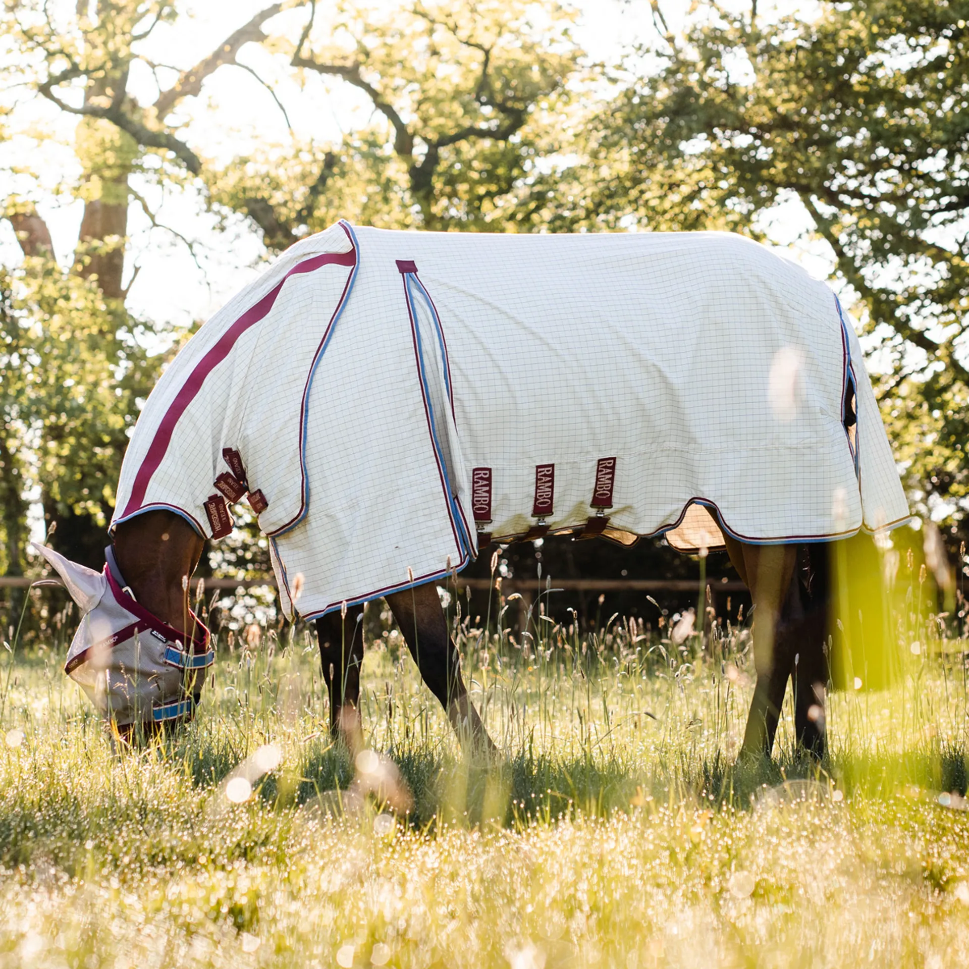 Rambo Optimo Supreme Summer Sheet Fly Rug - Navy Check/Cherry