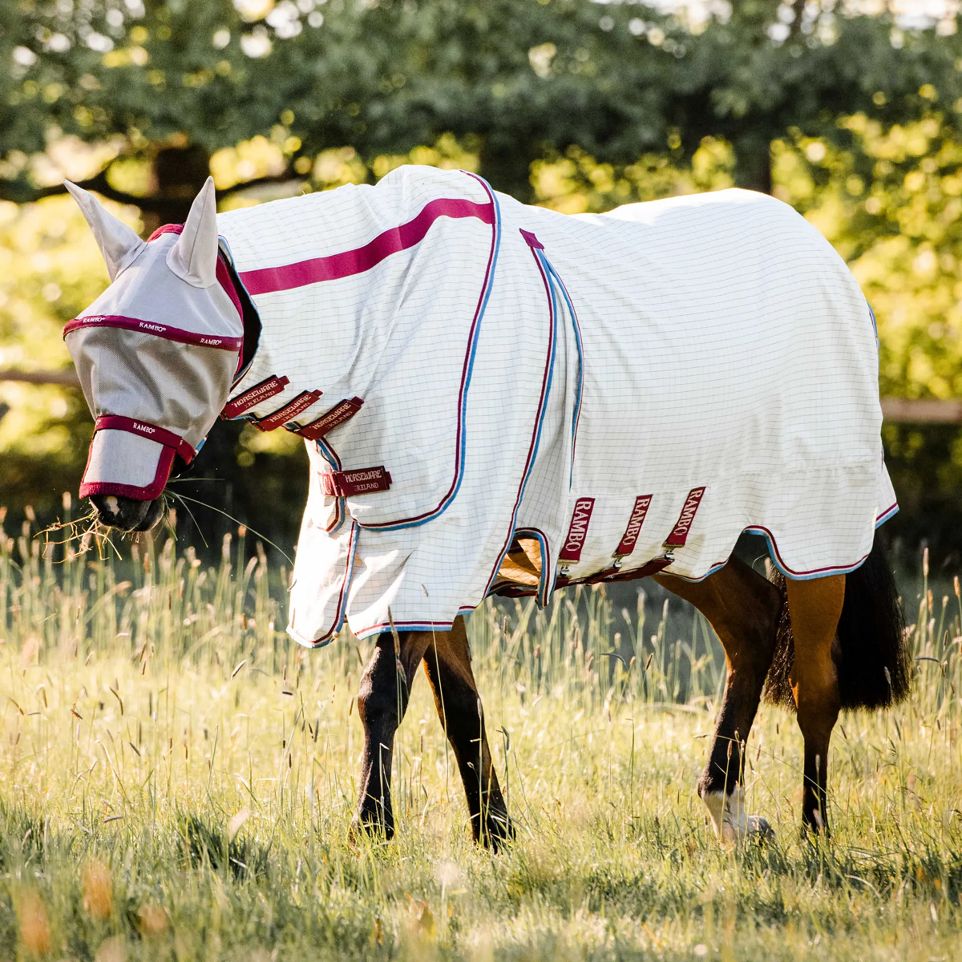 Rambo Optimo Supreme Summer Sheet Fly Rug - Navy Check/Cherry