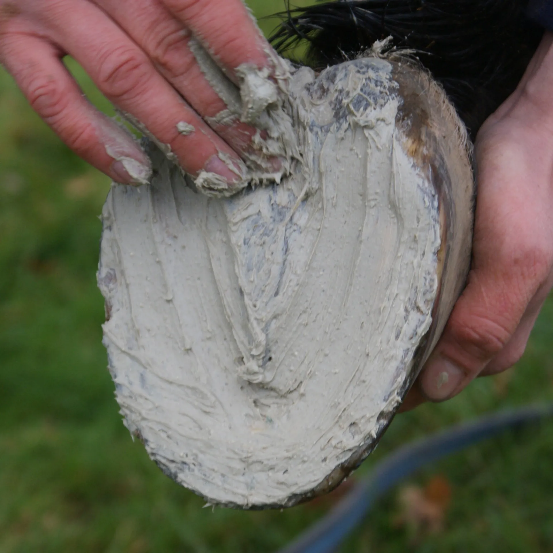 Red Horse Field Paste Cleansing Clay Hoof Dressing