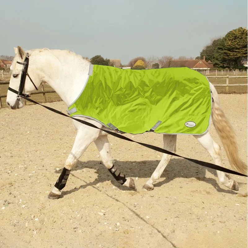 Rhinegold Horse Walker Lunge Rug Exercise Sheet - Yellow