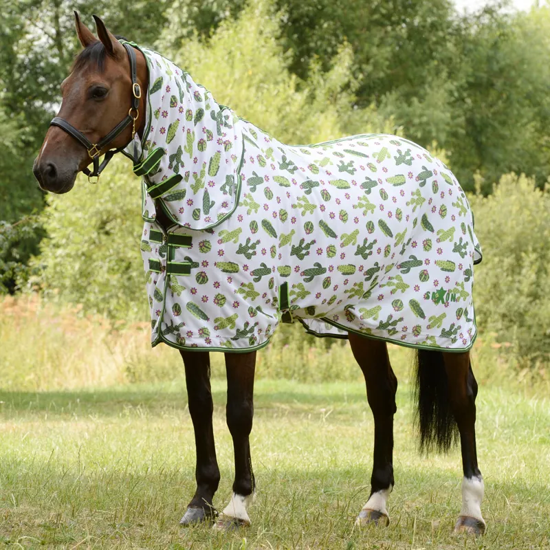 Fly & Sweet Itch Rugs | Horse Rugs - Redpost Equestrian