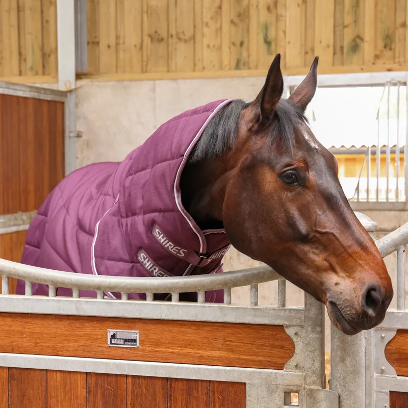 Shires Tempest Original 600D 300 Combo Stable Rug - Burgundy