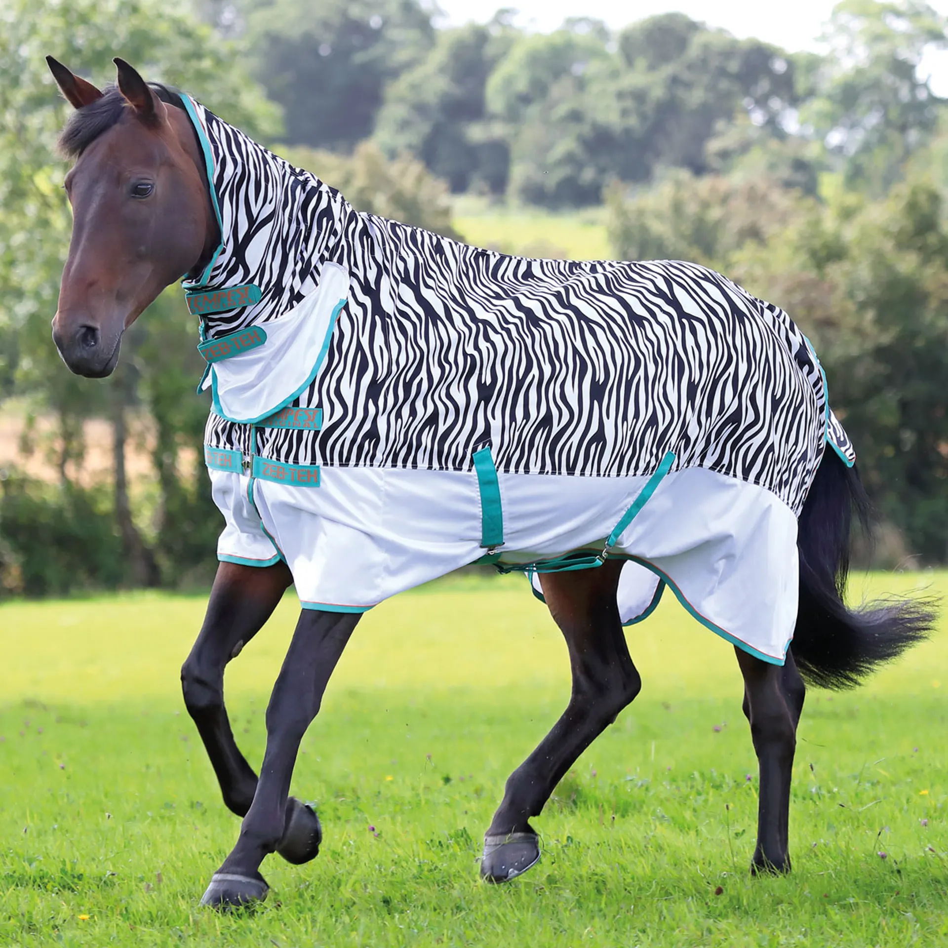 Shires Tempest Original ZEB-TEK Combo Neck Fly Rug - Zebra