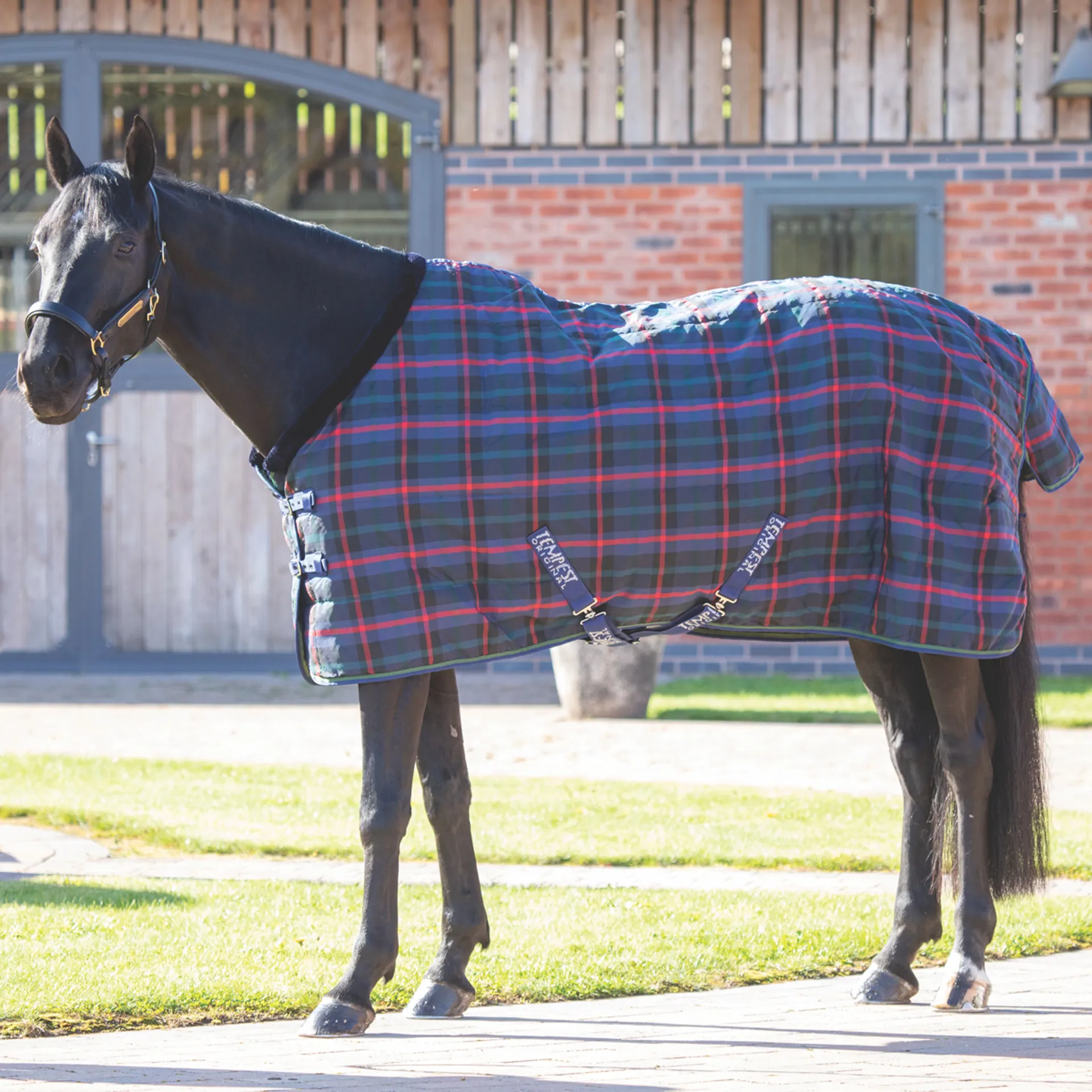 Shires Tempest Plus 100g Standard Neck Stable Rug - Green Check