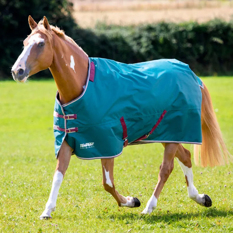 Shires Tempest Original 200 Detachable Neck Turnout Rug - Green