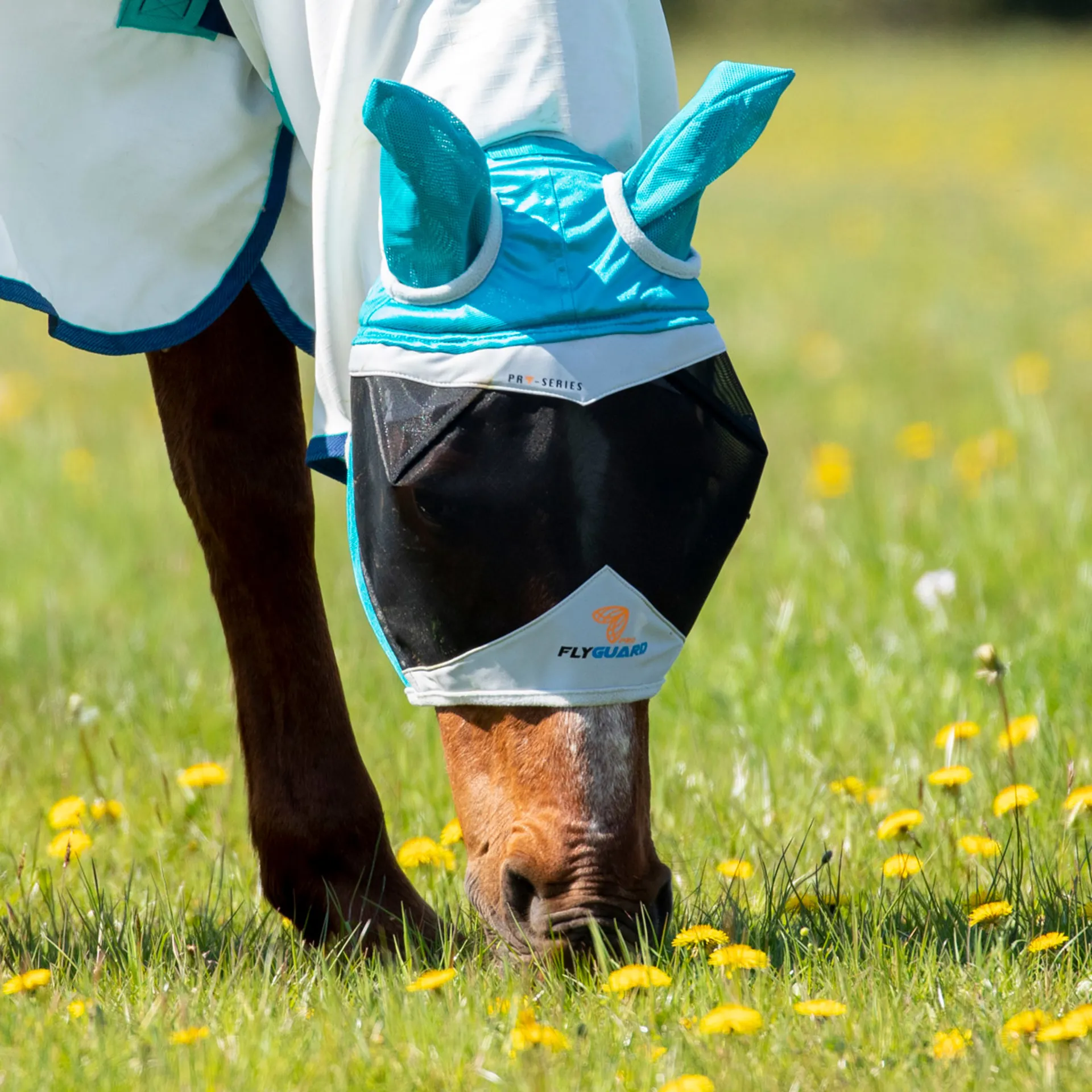 Shires FlyGuard Pro Fine Mesh Fly Mask with Ears - Teal