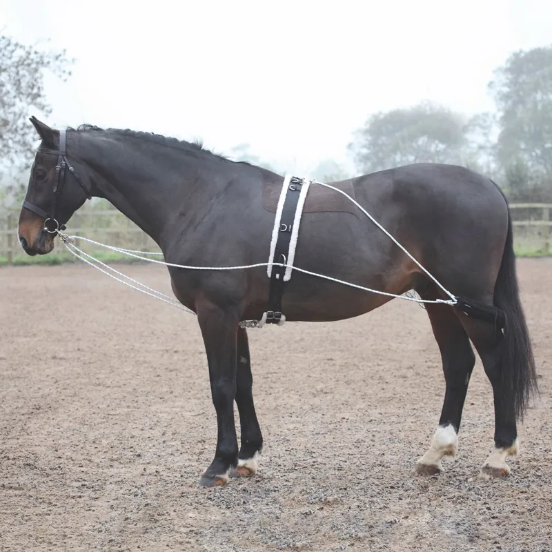 Shires Lunging Training Aid System - Black