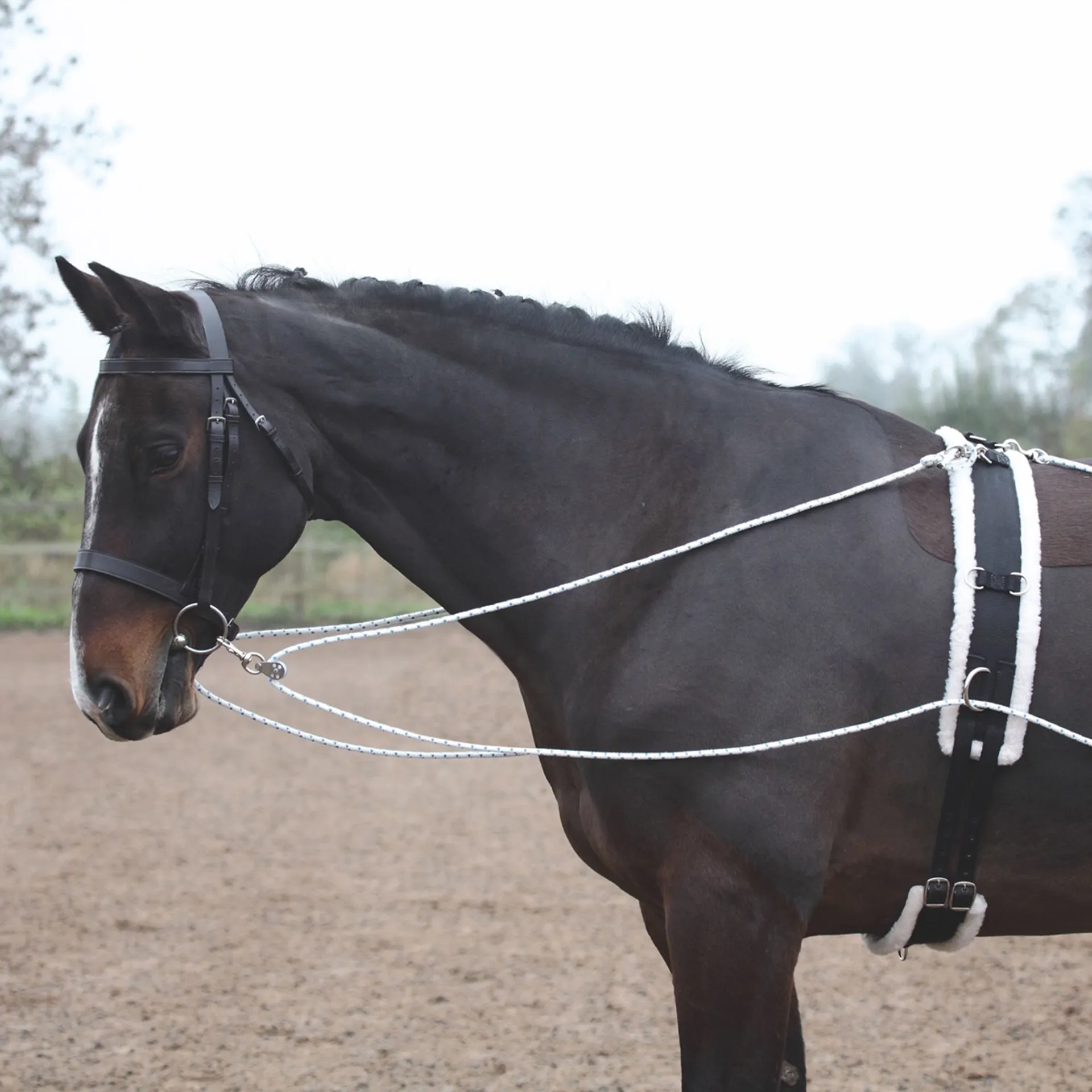 Shires Lunging Training Aid System - Black