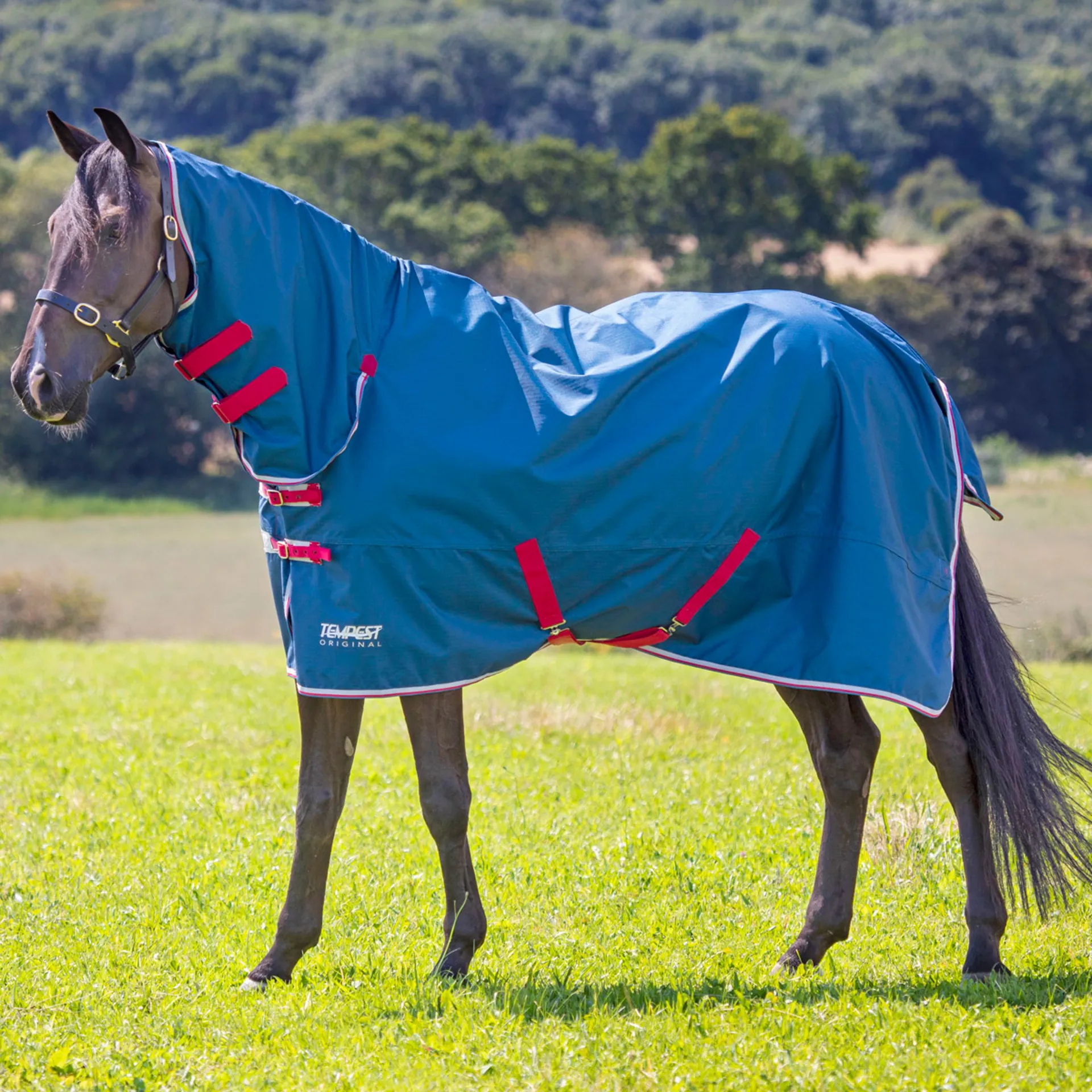 Shires Tempest Original 0g Combo Neck Turnout Rug - Teal