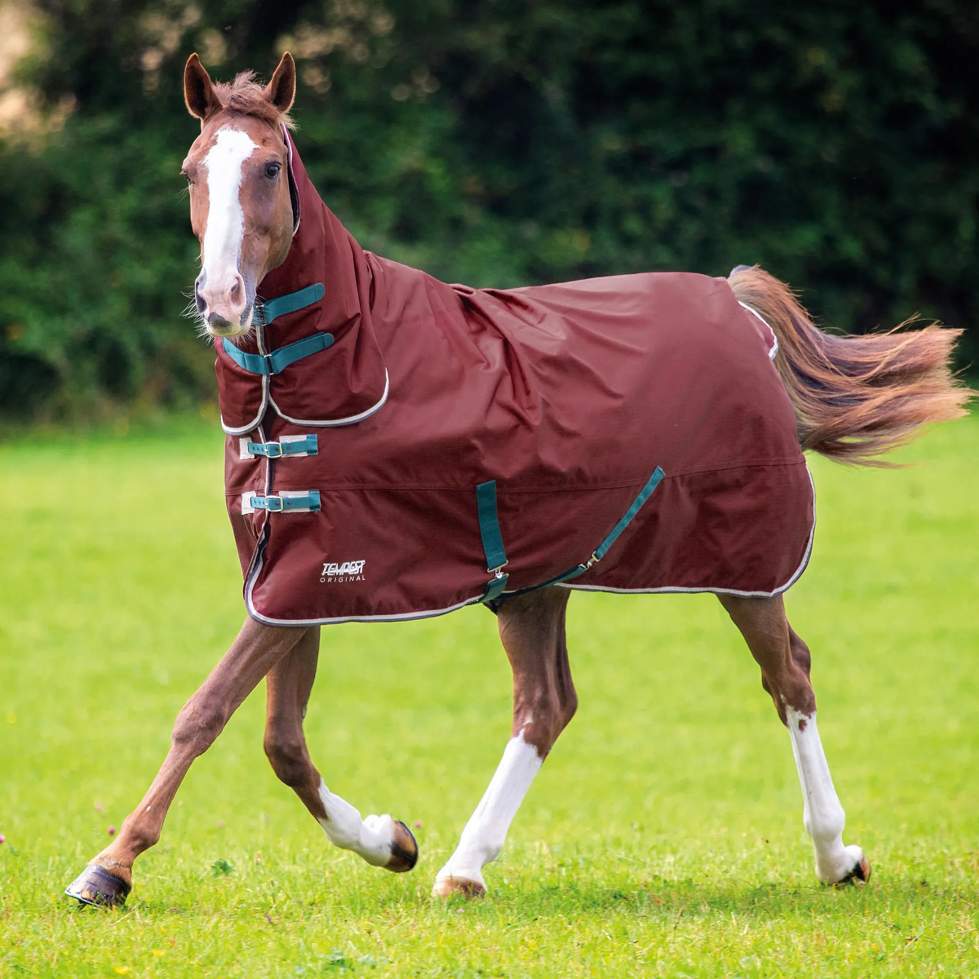 Shires Tempest Original 200 Combo Neck Turnout Rug - Maroon