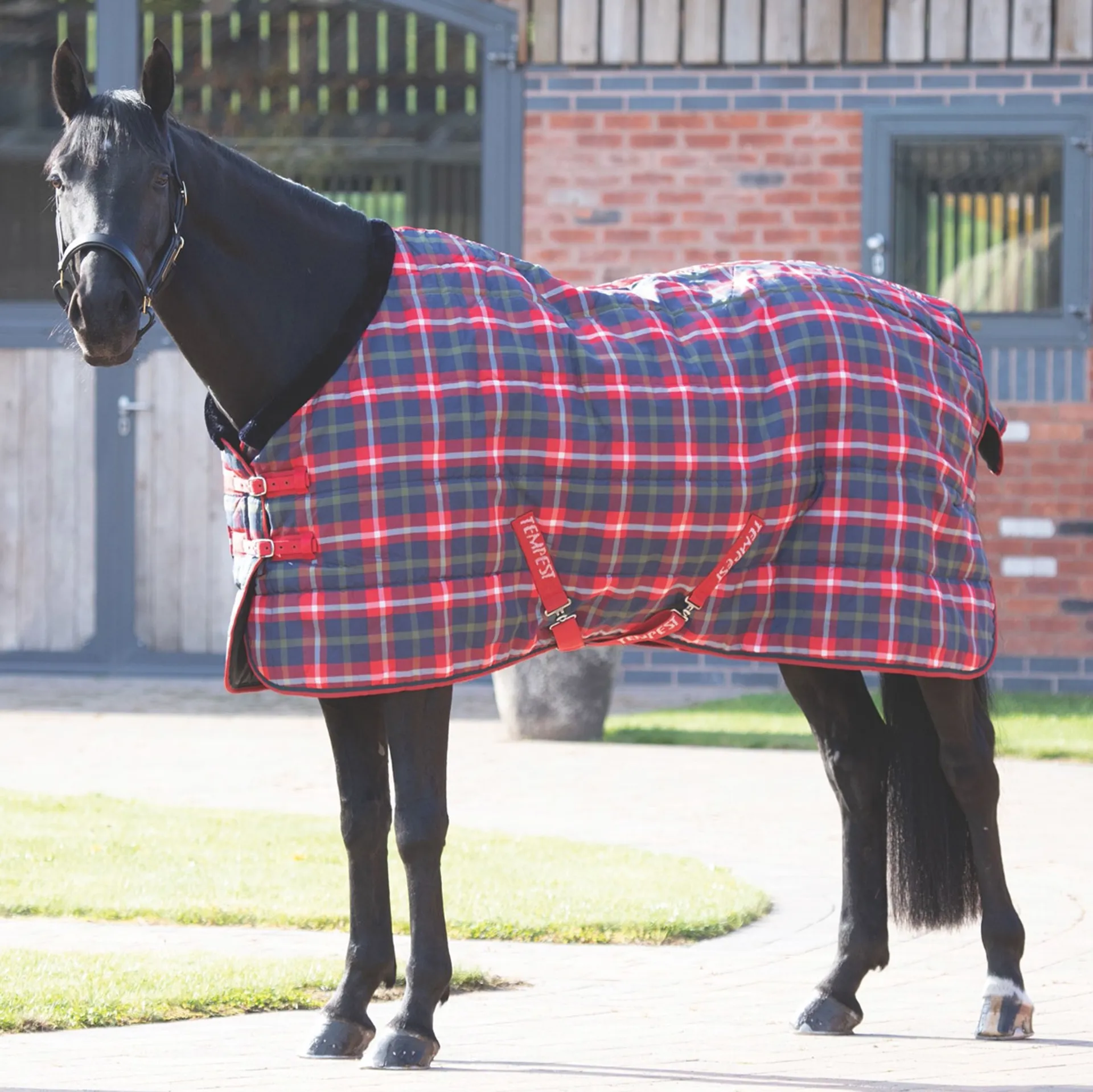 Shires Tempest Plus 200g Standard Neck Stable Rug - Red Check