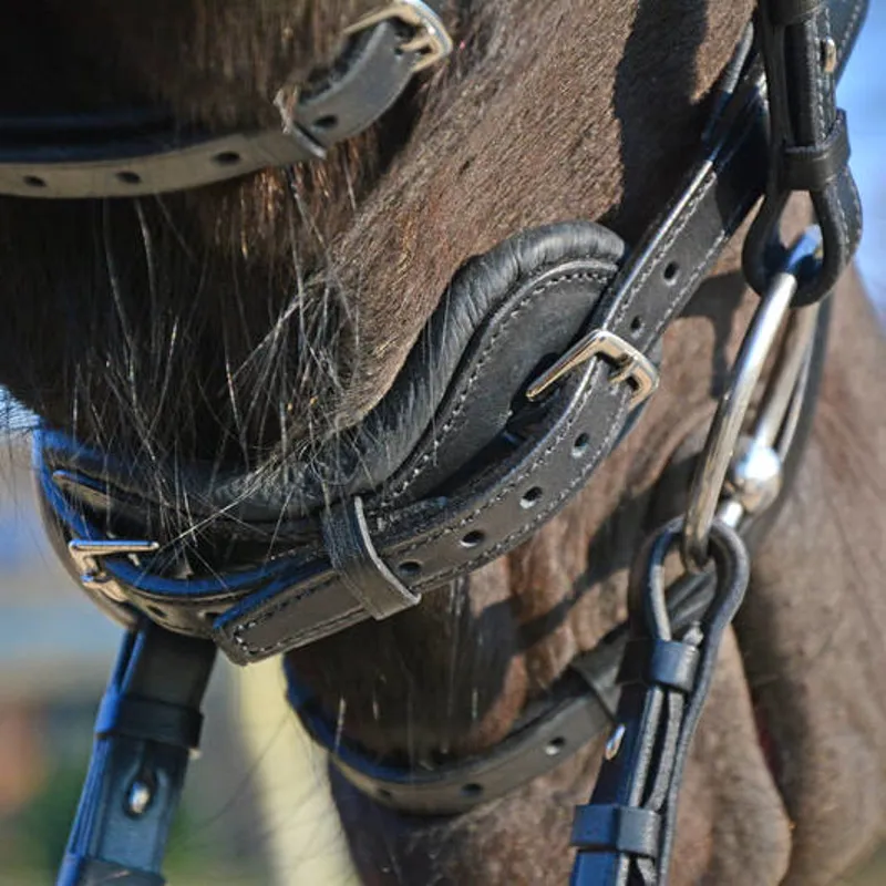 Stubben Freedom 2500 Bridle - Black