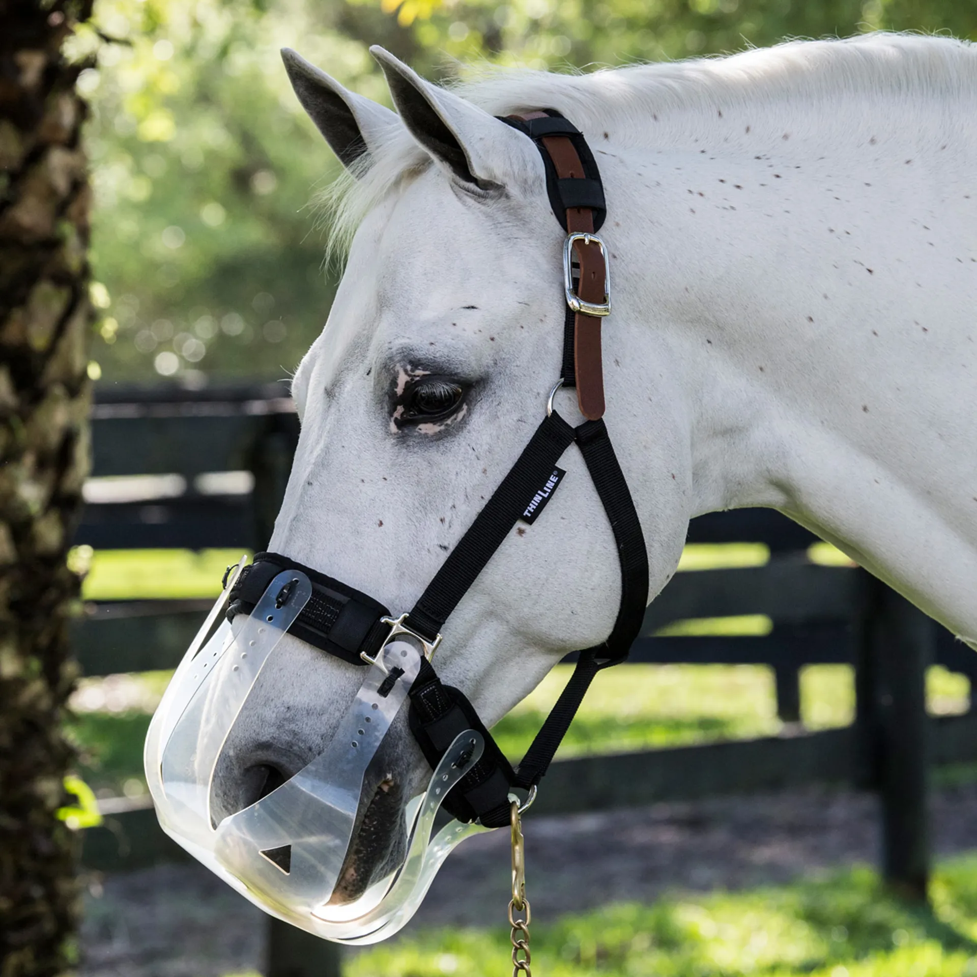 ThinLine Flexible Filly Grazing Muzzle
