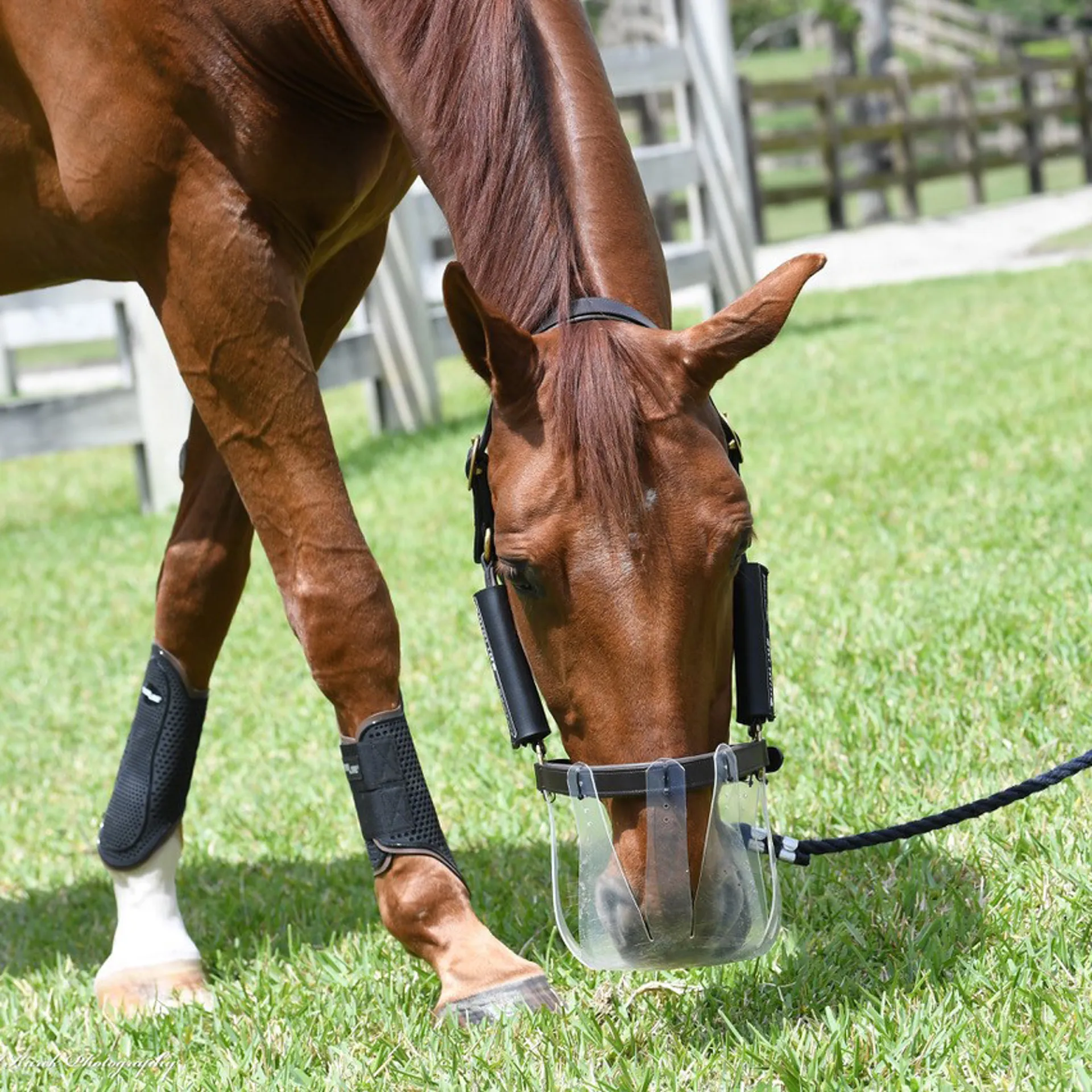 ThinLine Flexible Filly Grazing Muzzle