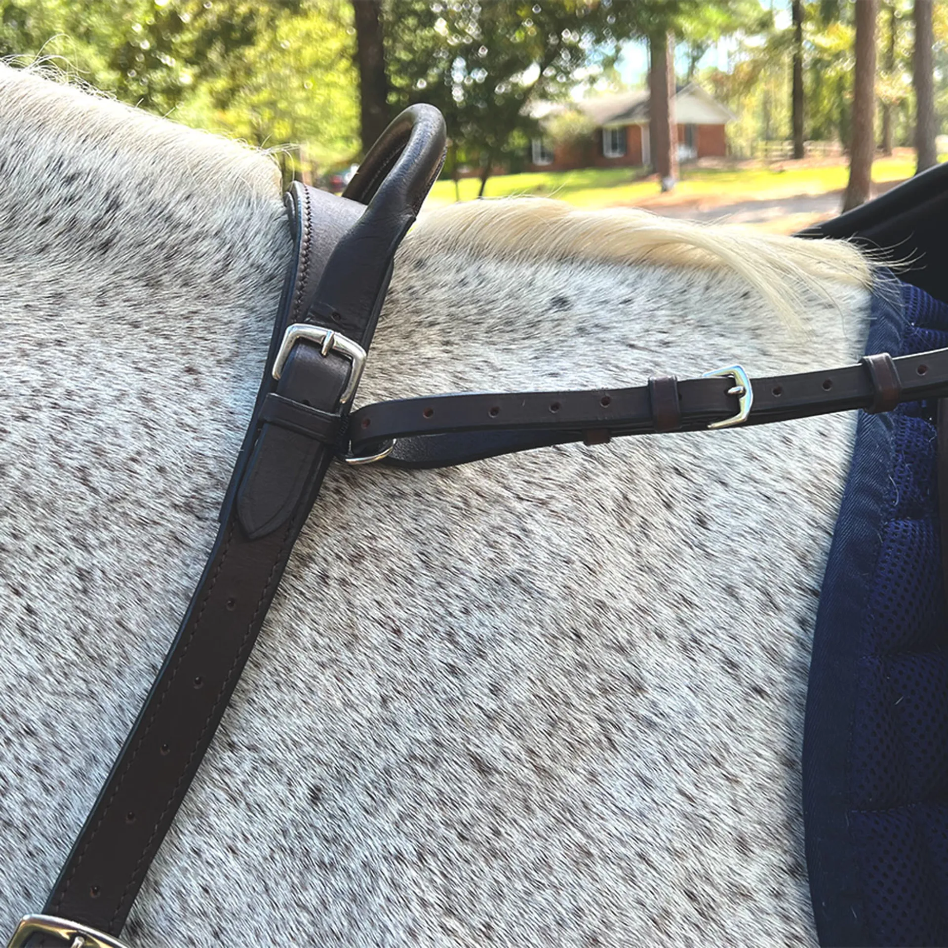 Correct Connect Double Neck Strap - Black