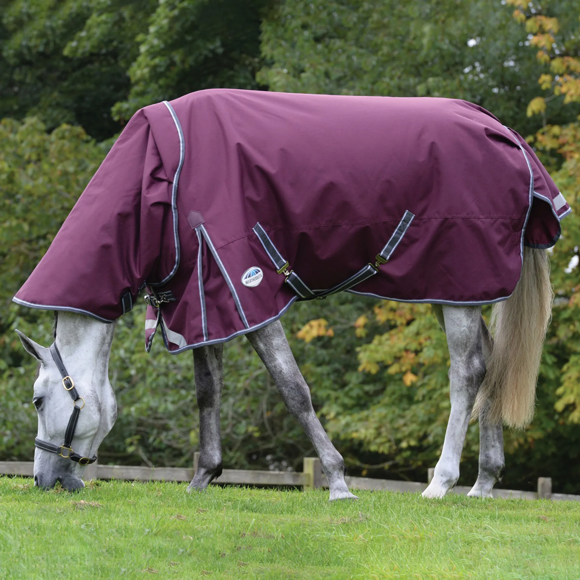 WeatherBeeta Plus Dynamic II 100g Detach A Neck Rug - Maroon