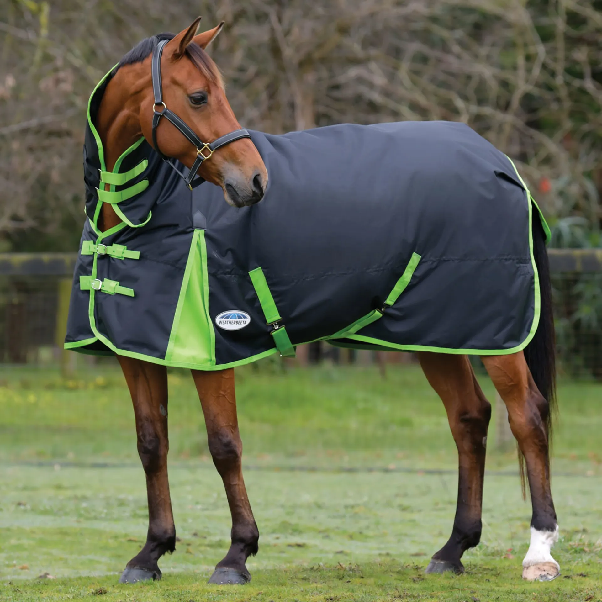 WeatherBeeta ComFiTec Classic 300g Combo Neck Turnout Rug - Black