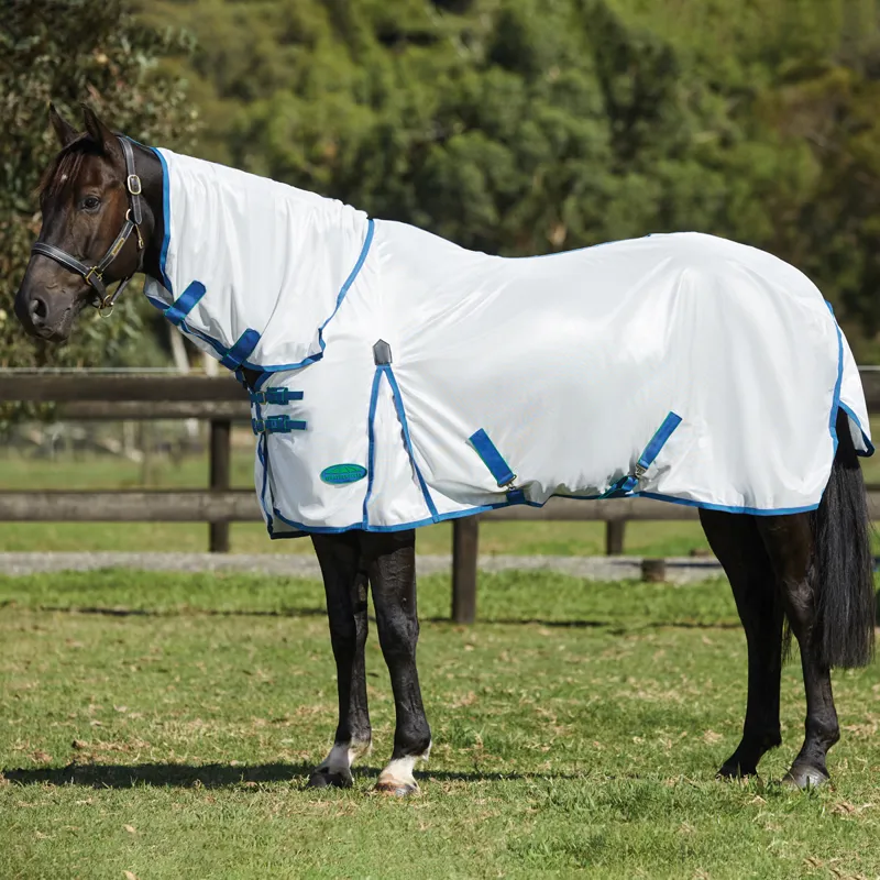 Fly & Sweet Itch Rugs | Horse Rugs - Redpost Equestrian