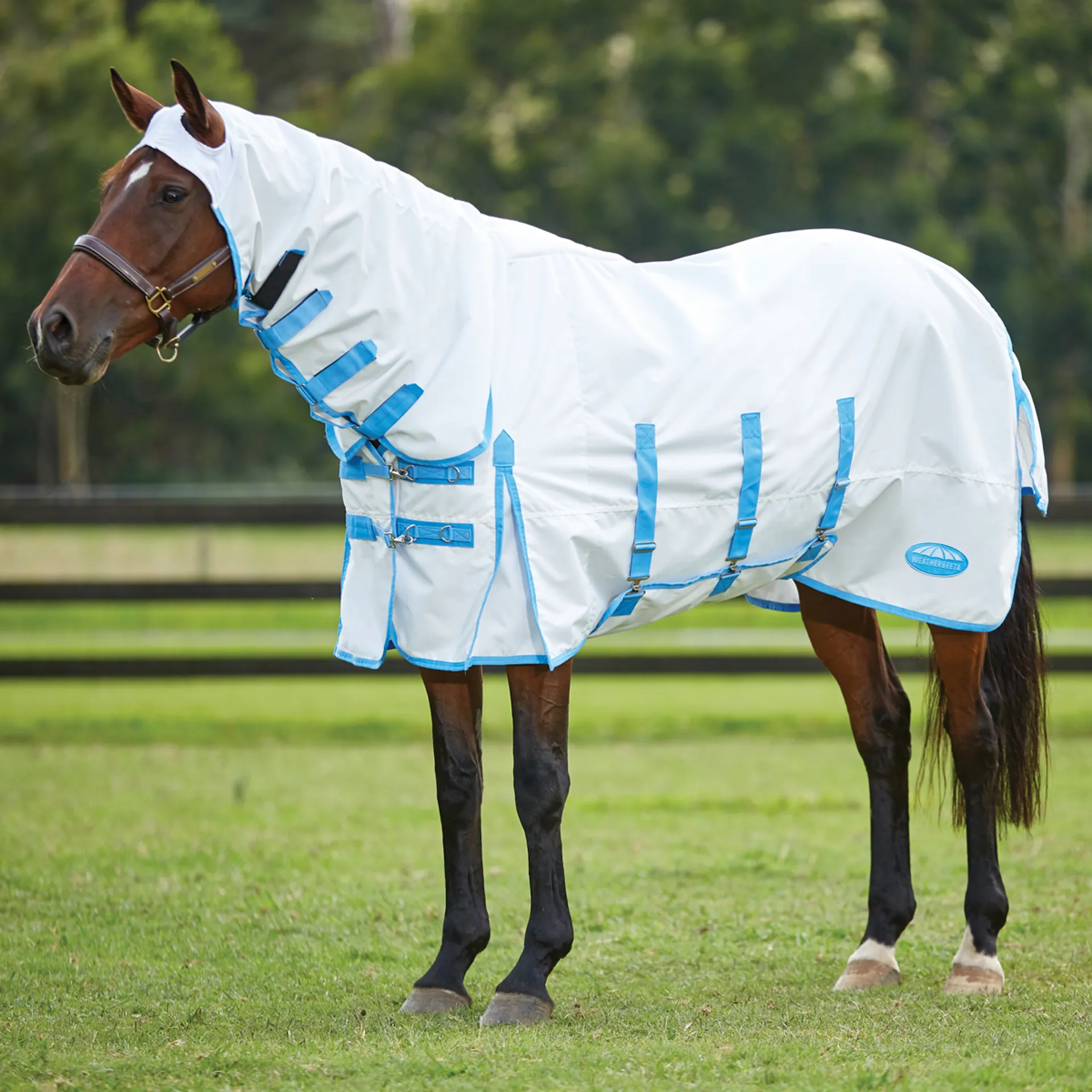 WeatherBeeta Sweet Itch Shield Combo Neck Fly Rug - White/Blue