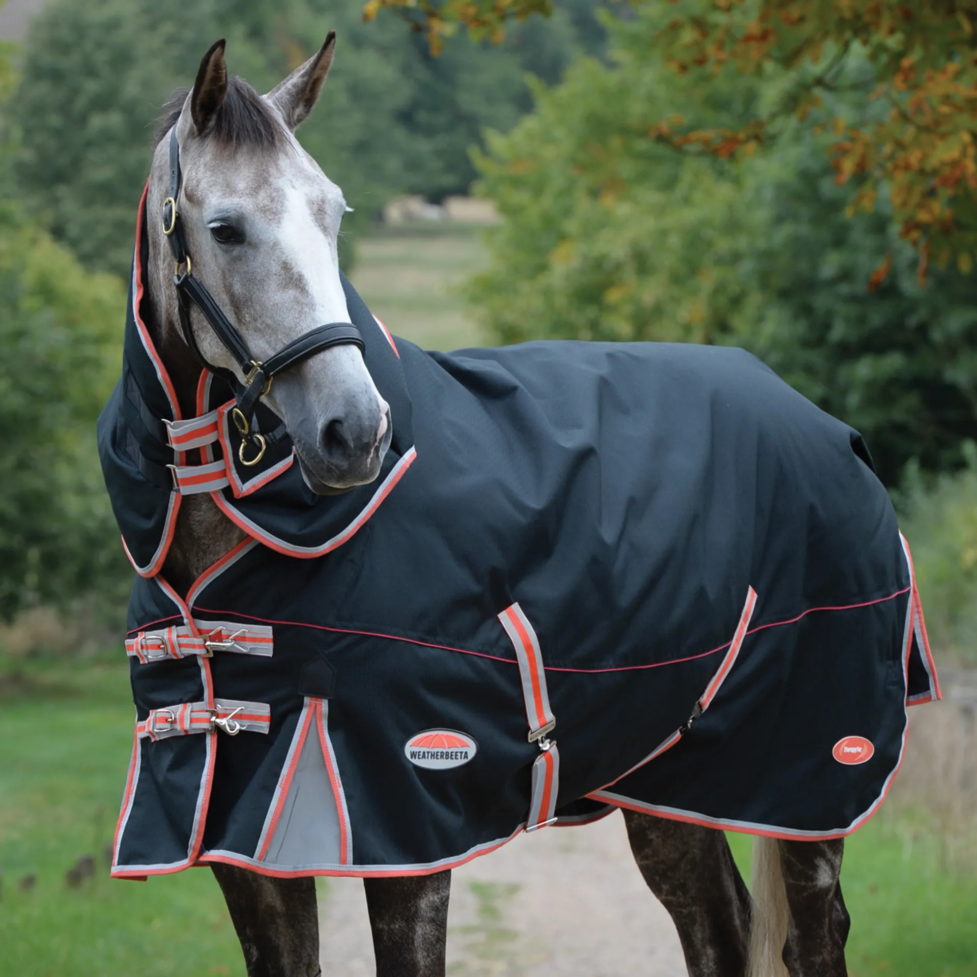 WeatherBeeta Therapy-Tec ComFiTec Premier 50g Turnout Rug - Black