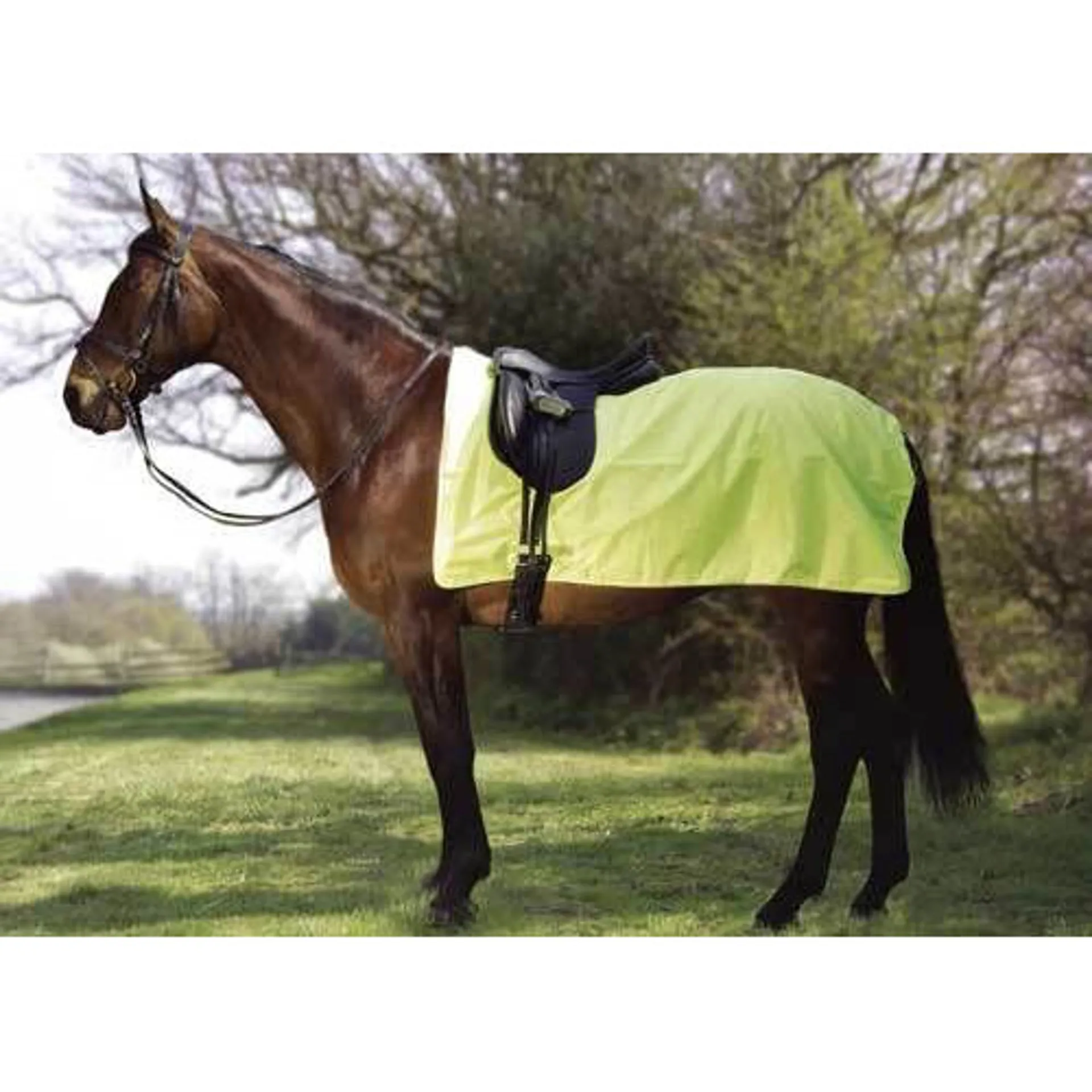 Rhinegold Reflective Exercise Sheet - Fluorescent Yellow