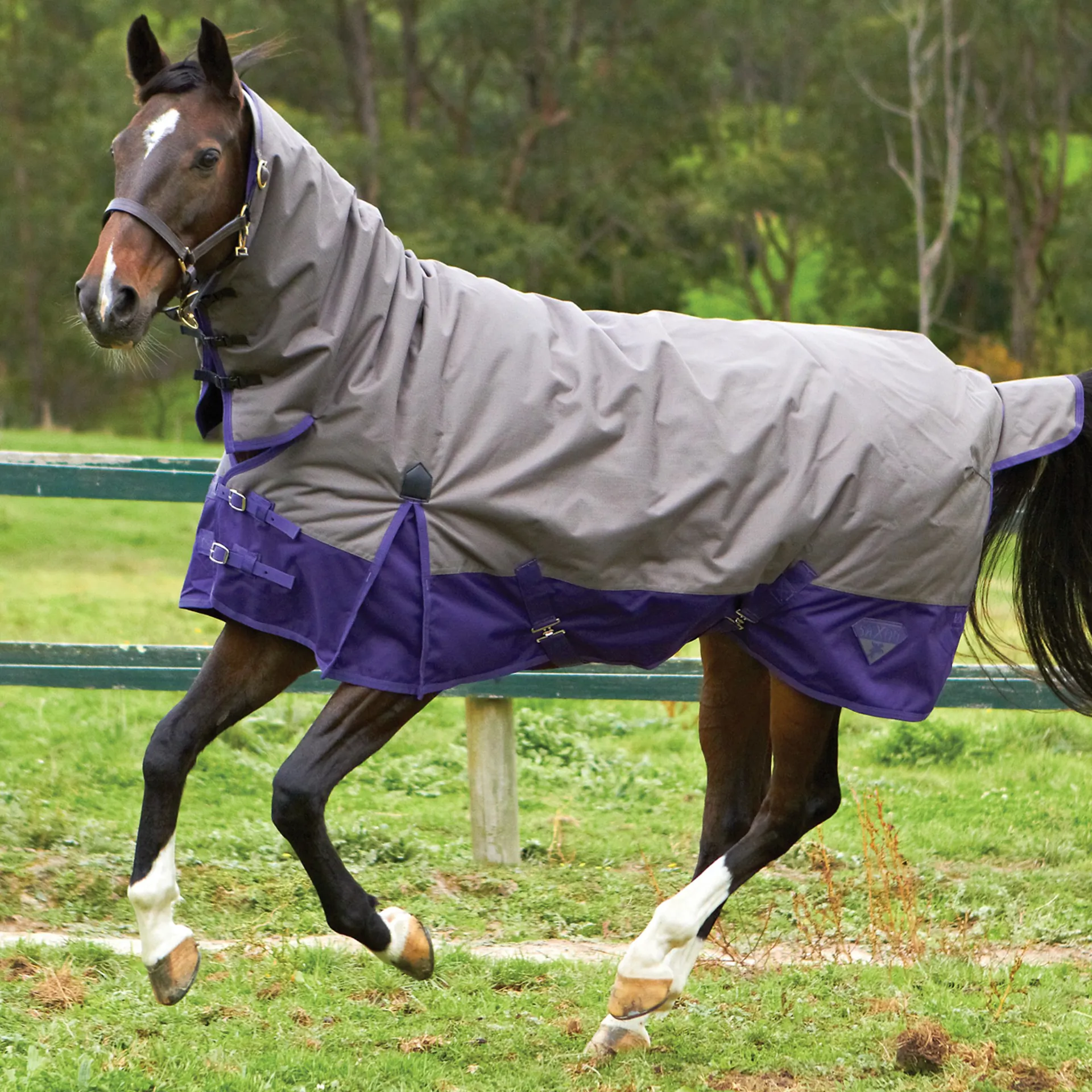 Saxon 1200D Heavy Combo Turnout Rug 300g - Grey/Purple